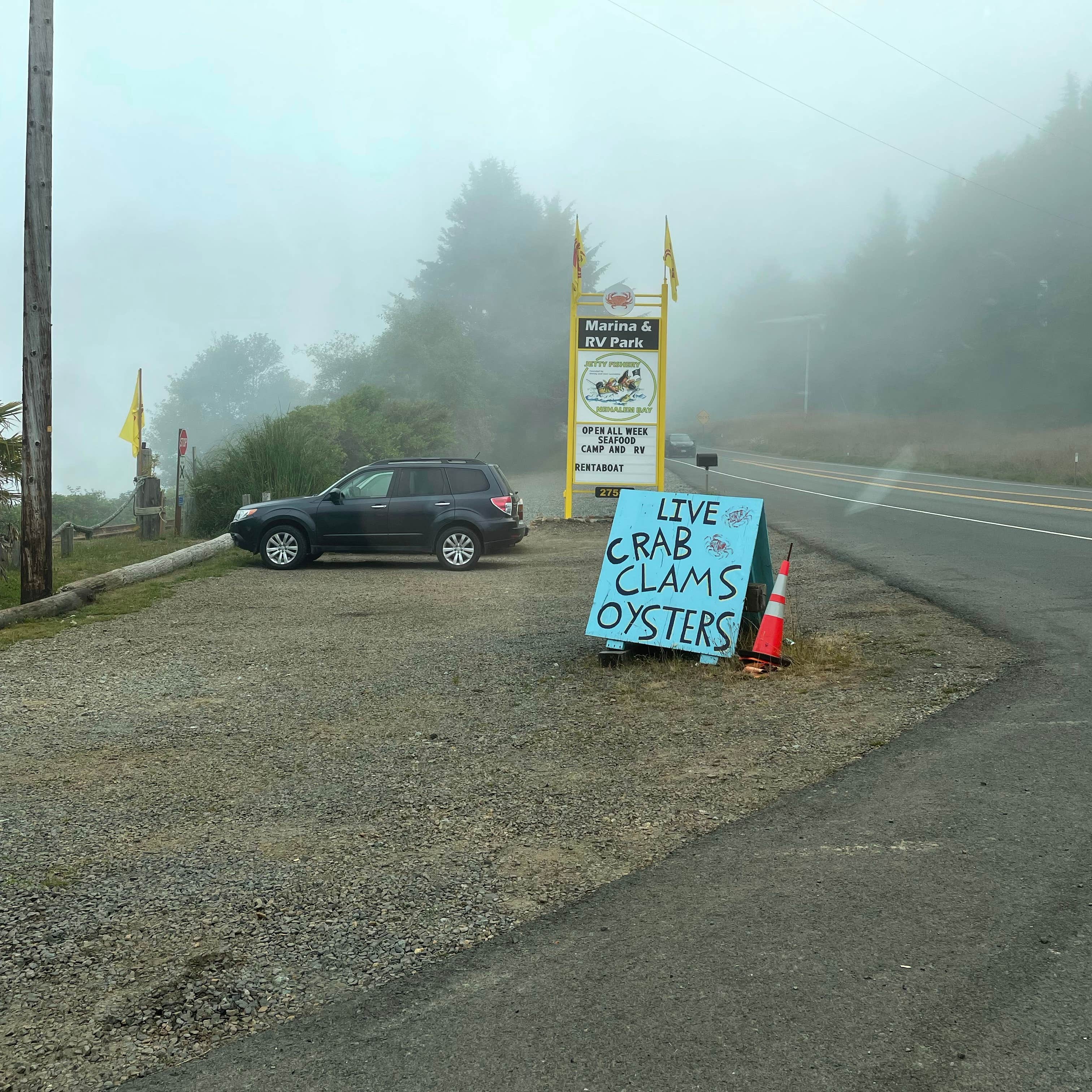 Jetty Fishery Marina & RV Park Camping | The Dyrt