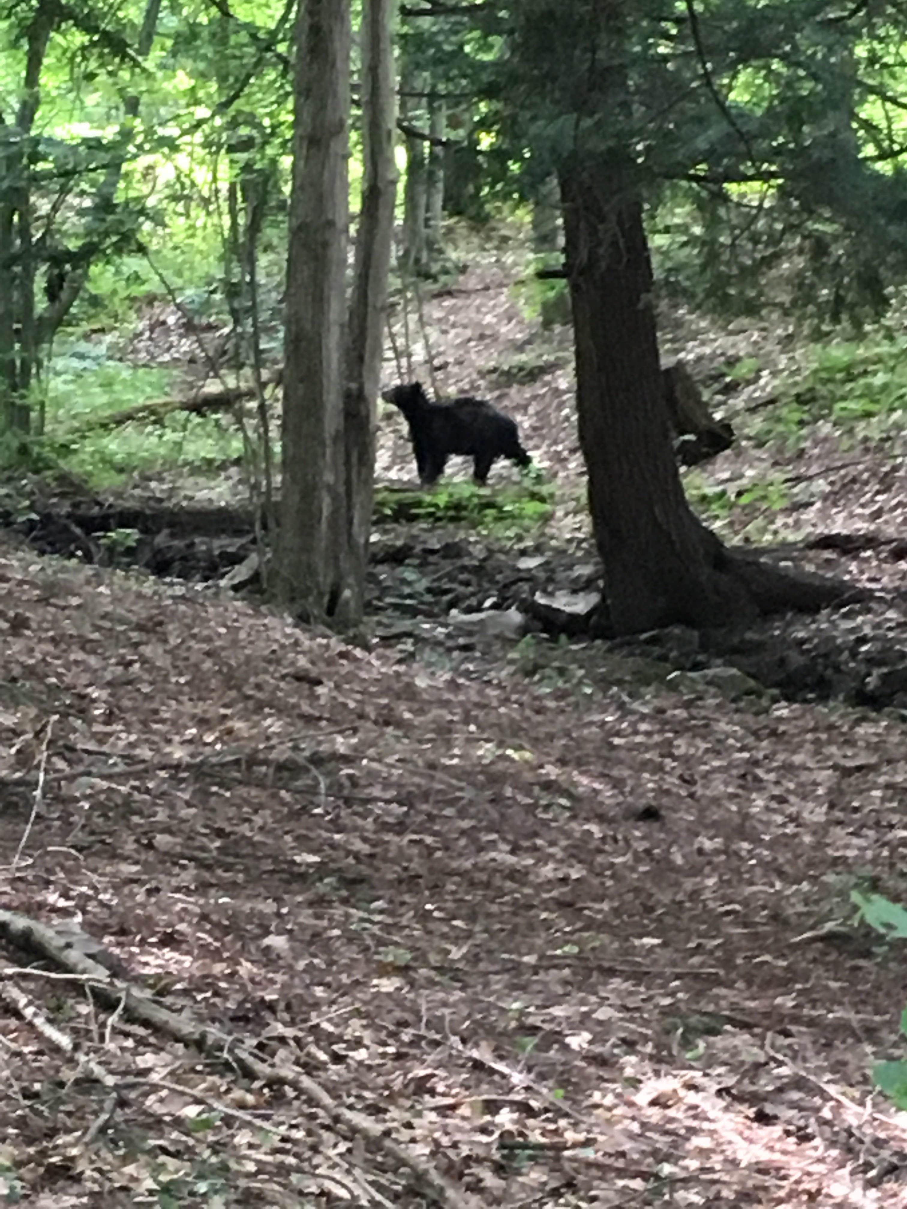 Dewdrop Camping | Bradford, PA