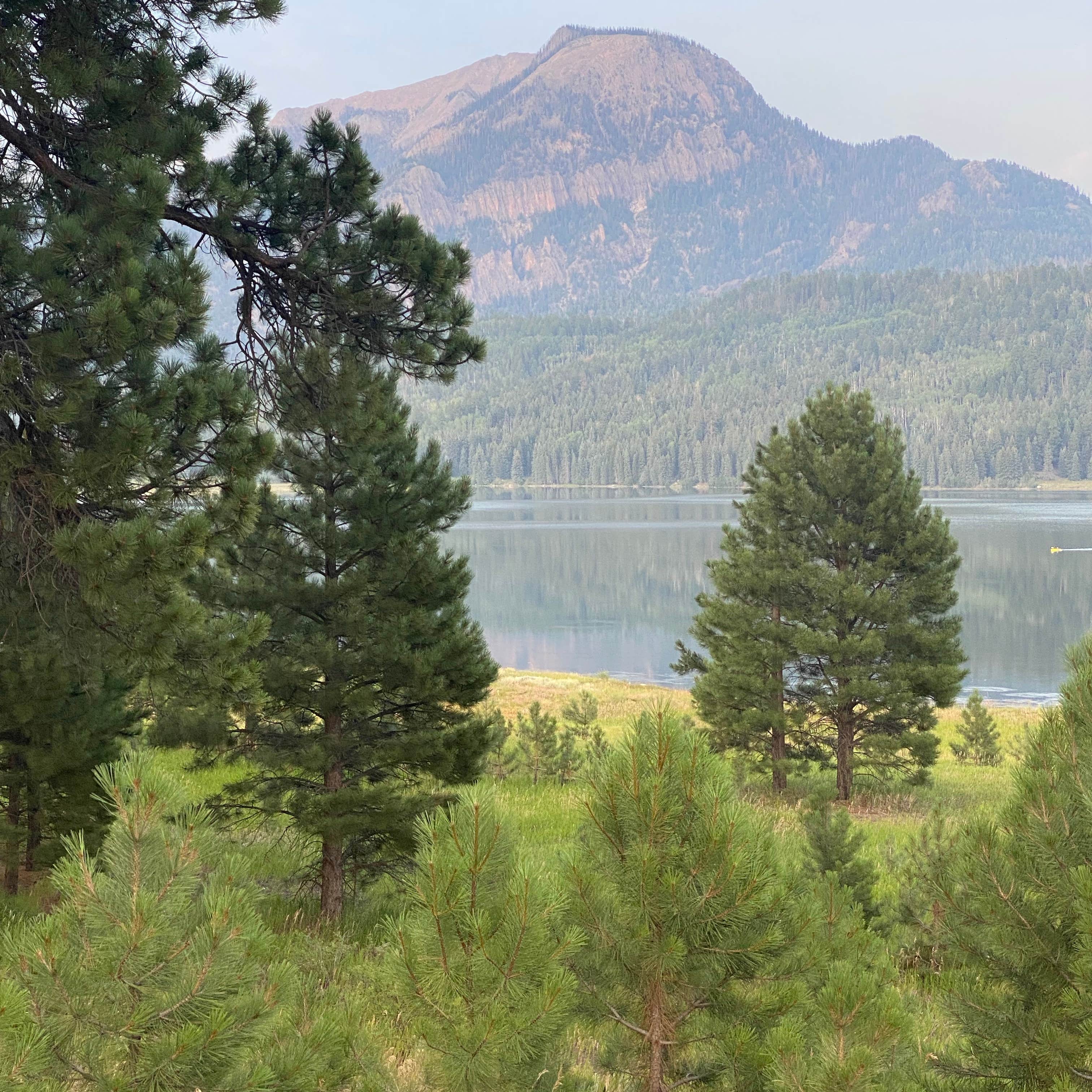 Teal Campground Camping | The Dyrt