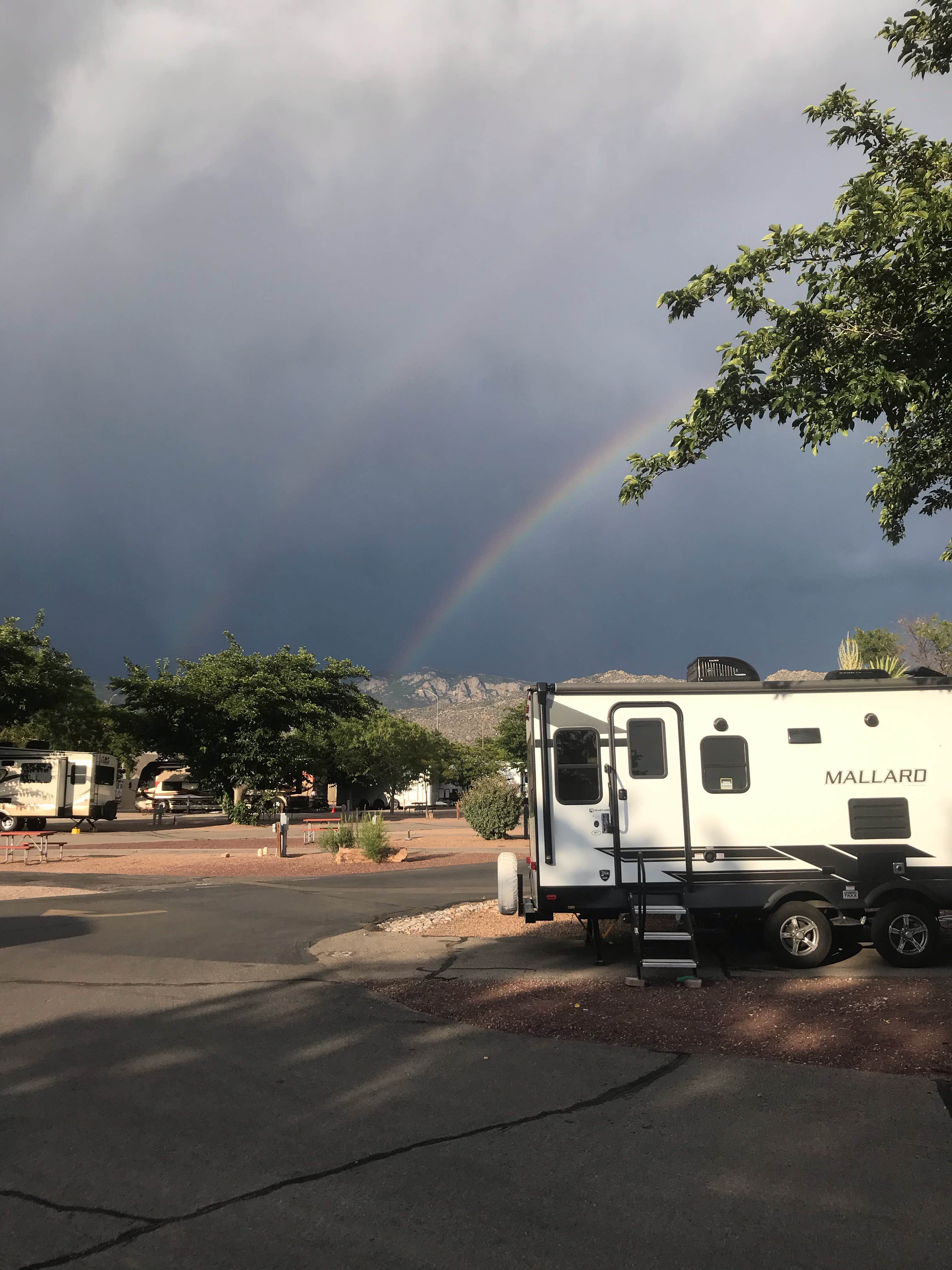 Best rv camping in New Mexico | The Dyrt