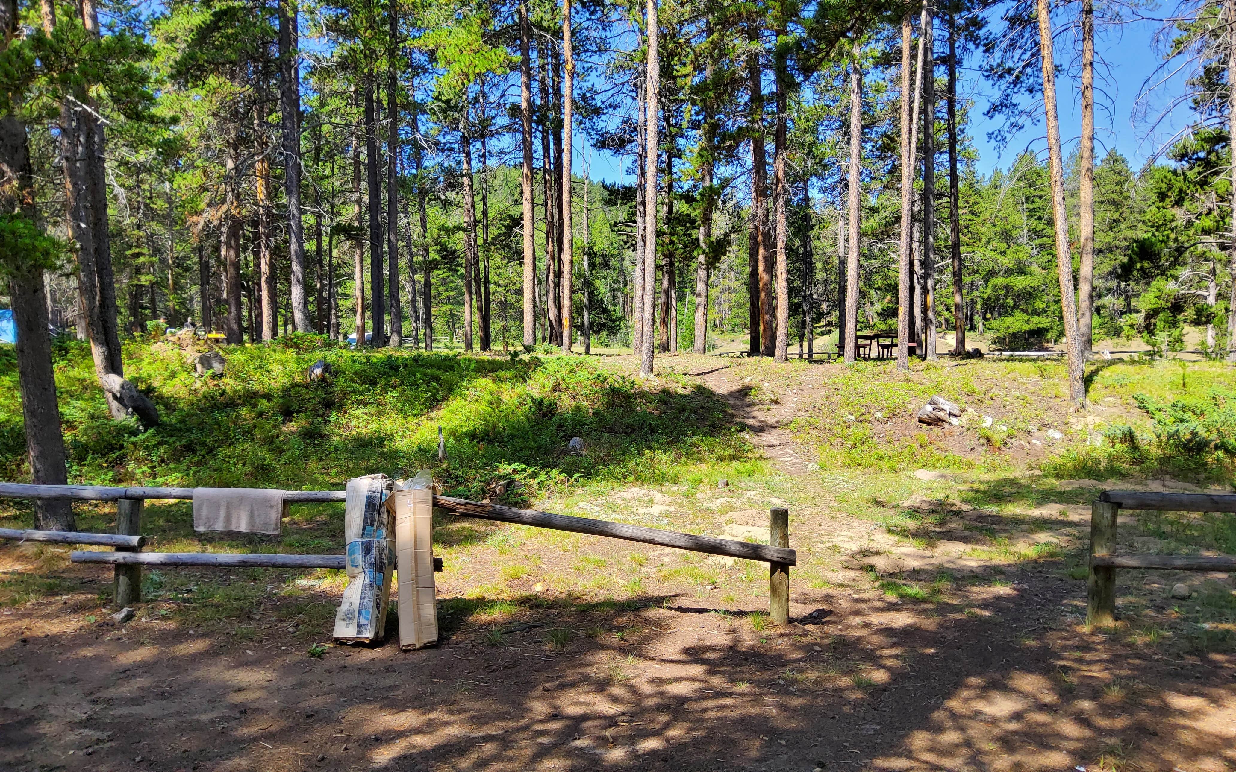 Little Goose Campground | Sheridan, WY