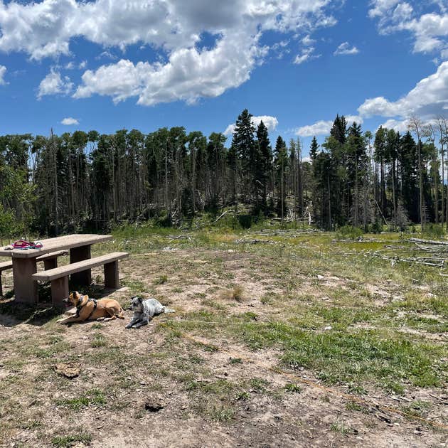 Middle Canjilon Campground | Canjilon, NM