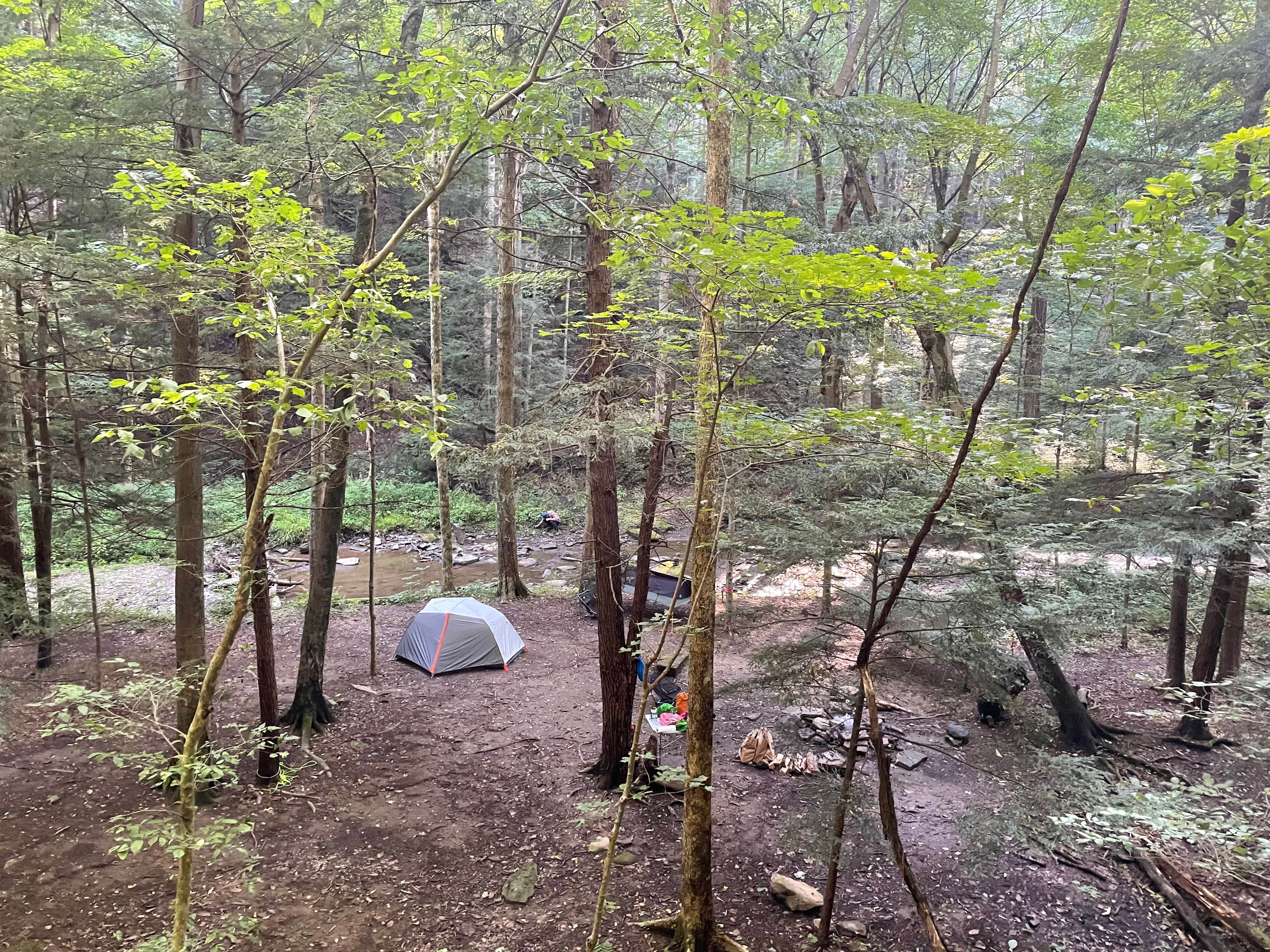 Breakneck Campground | The Dyrt