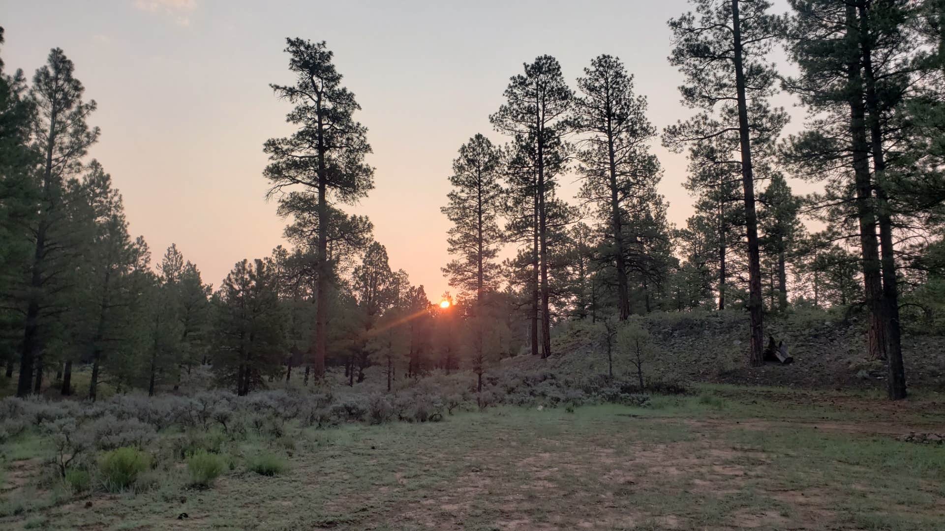 Forest Service Road 302 Dispersed Camping | The Dyrt