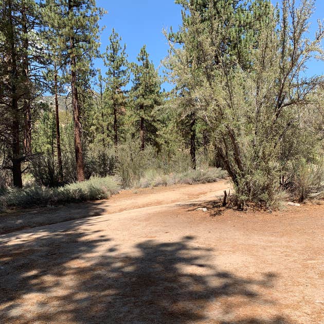 Coon Creek Yellow Post Sites Camping | Big Bear City, California