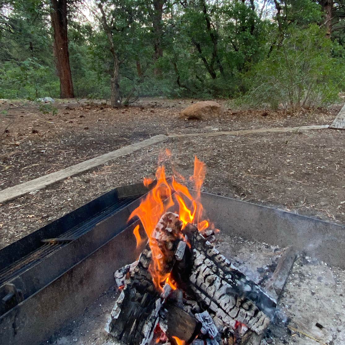 Target Tree Campground | Mancos, CO