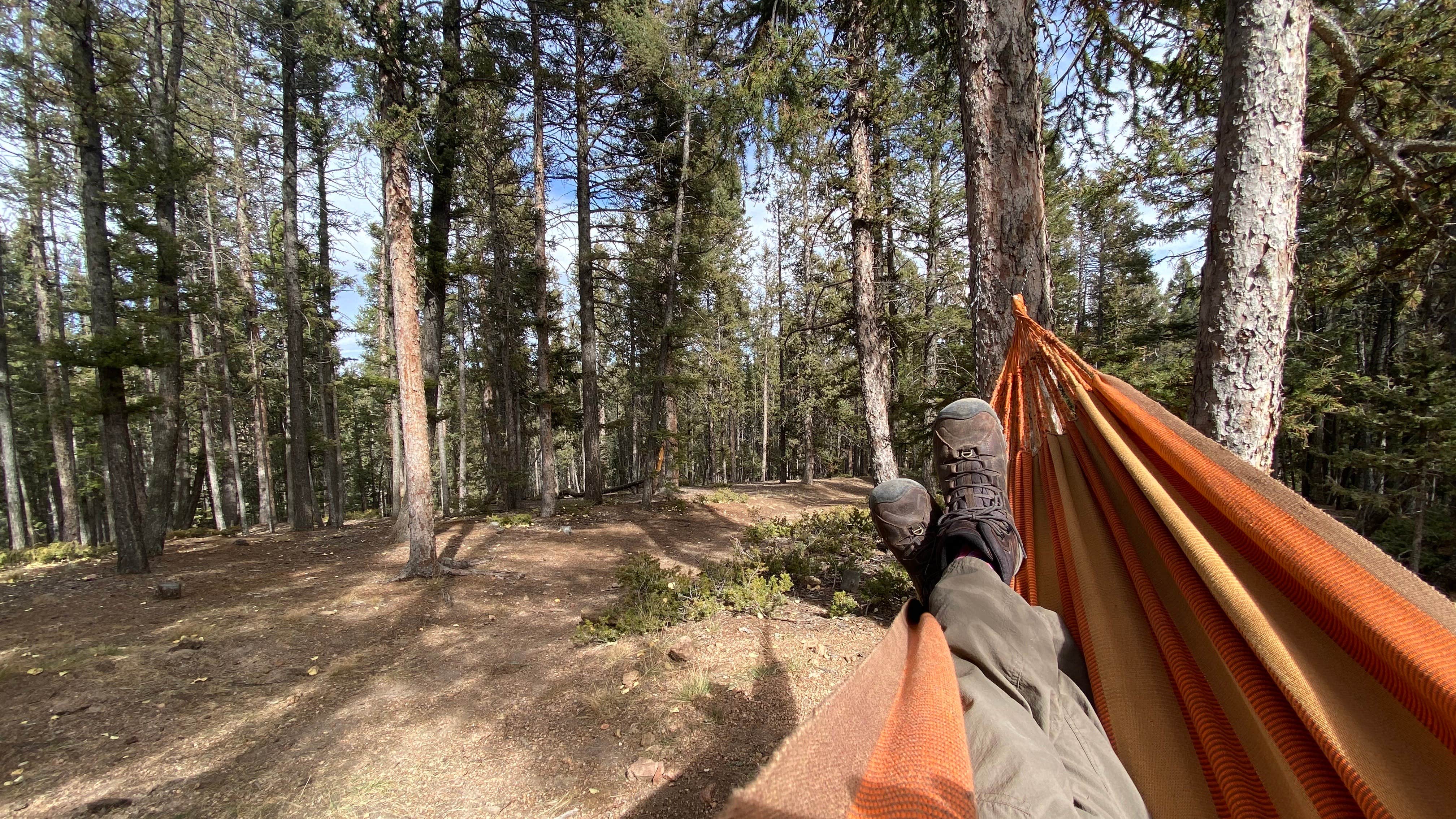 Mueller State Park | The Dyrt