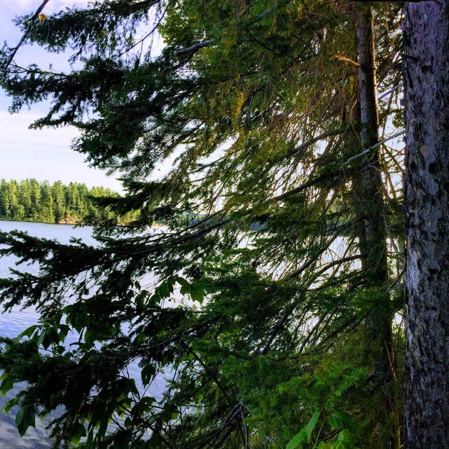 Brown Tract Pond Campground Camping | The Dyrt