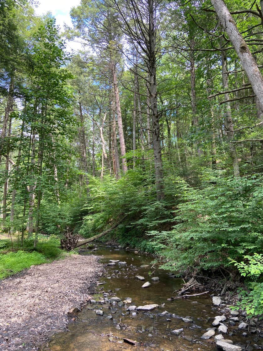 Colonel Denning State Park Camping | The Dyrt