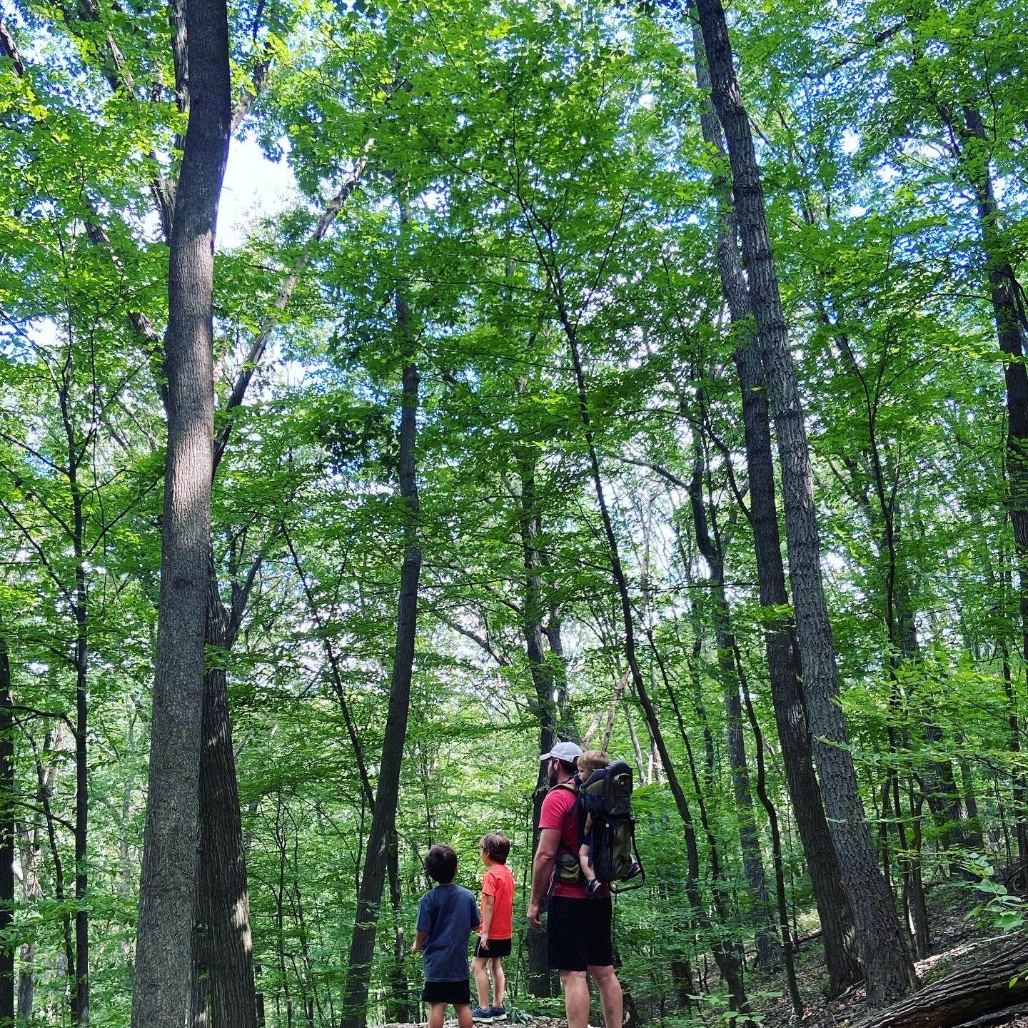 Colonel Denning State Park Camping | The Dyrt