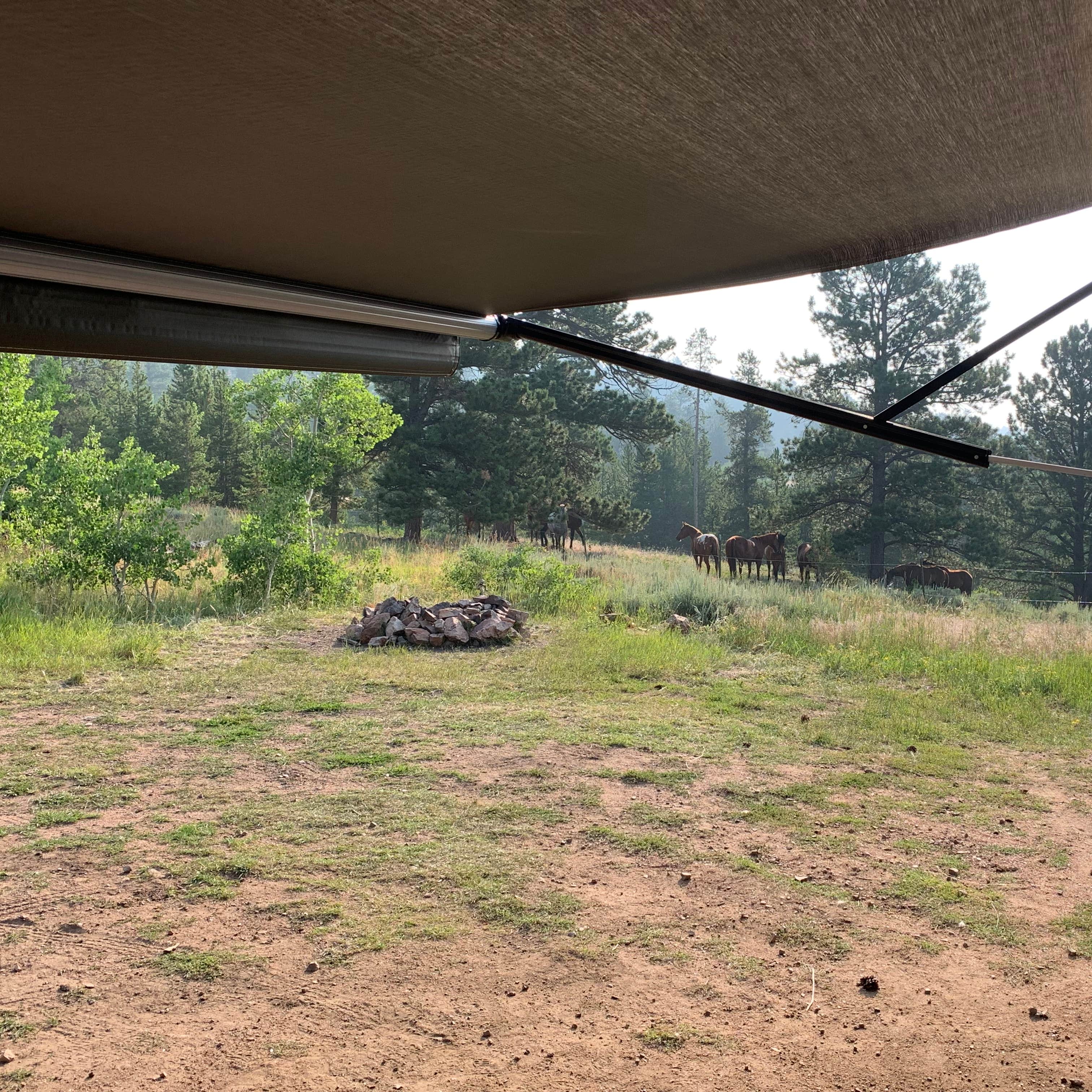 Beaver Meadows Resort Ranch Camping | Red Feather Lakes, Colorado