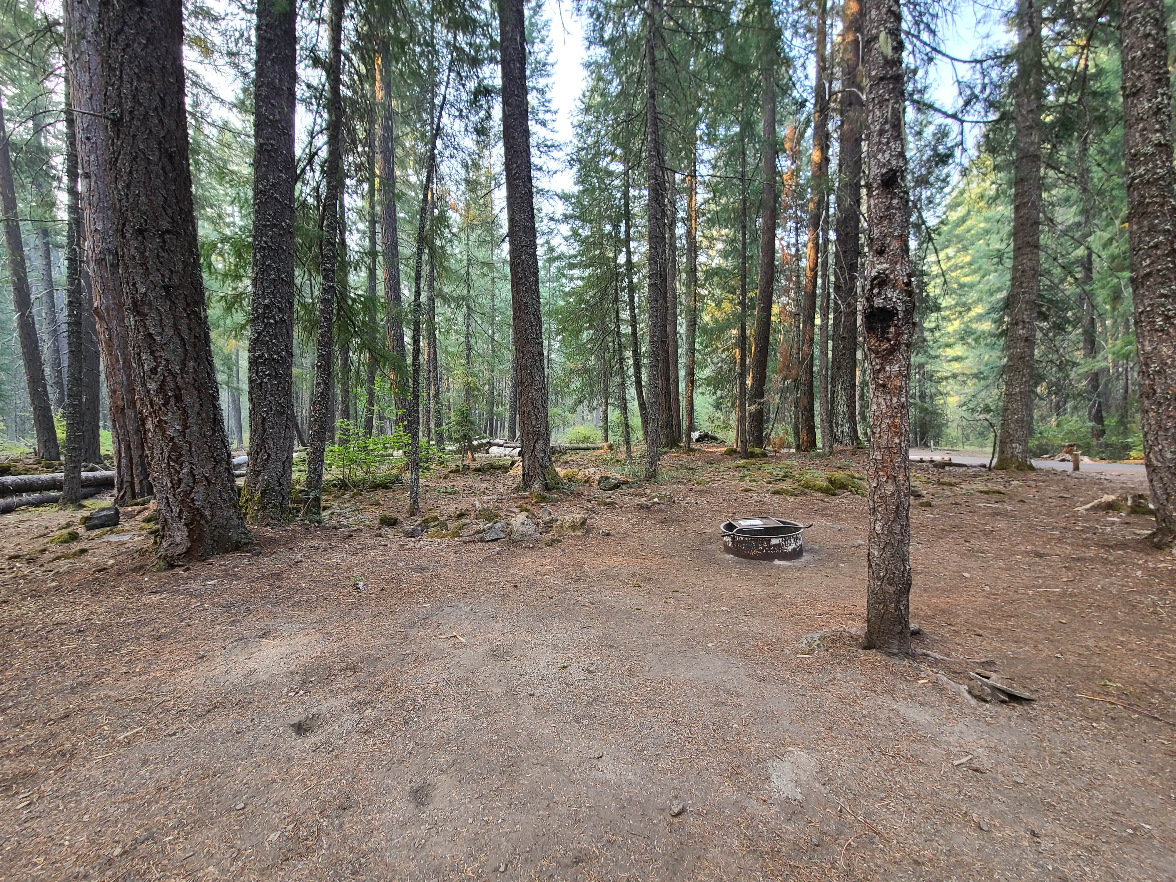 Farewell Bend Campground | The Dyrt