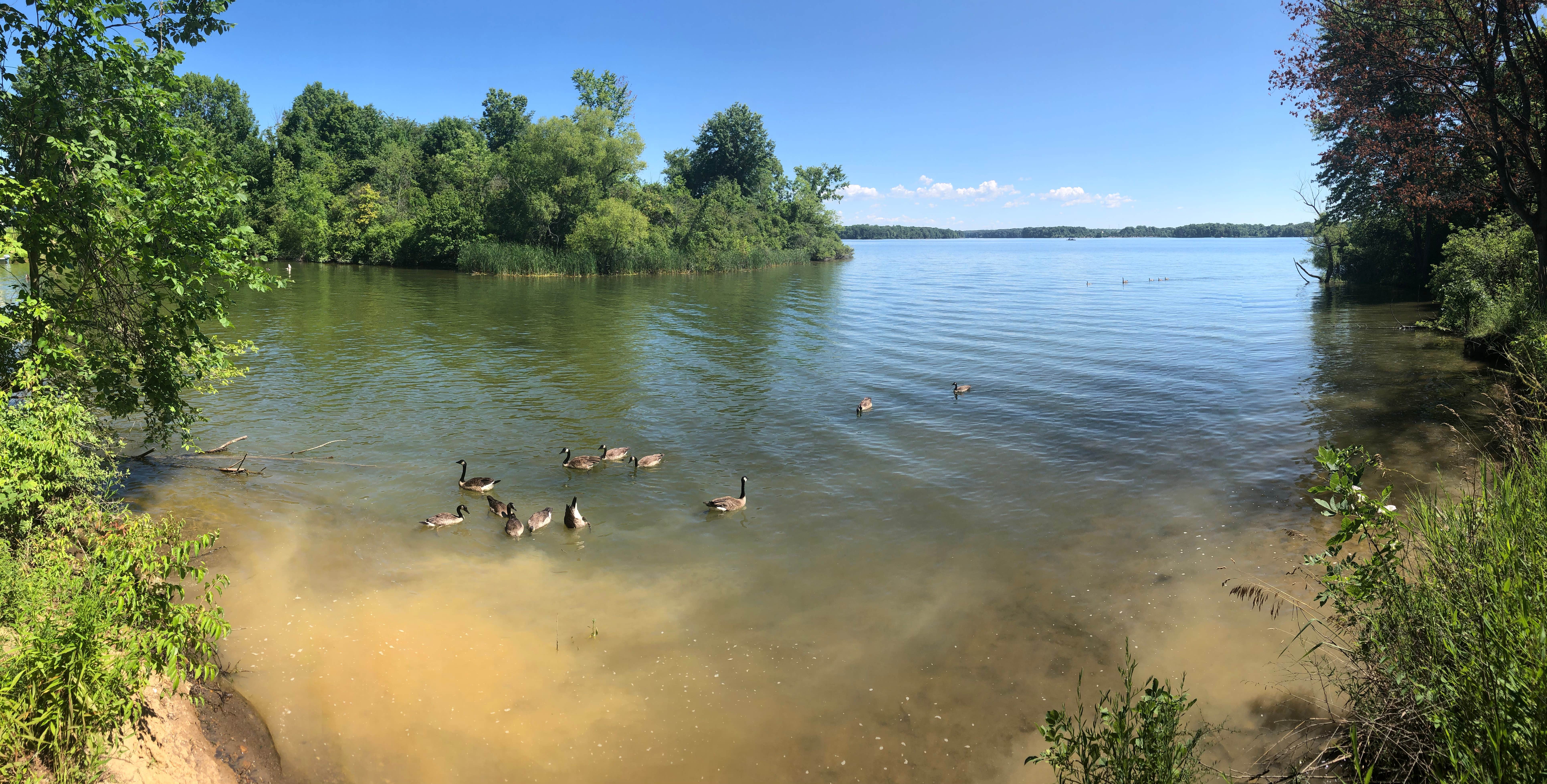 Best camping in Dillon Lake | The Dyrt