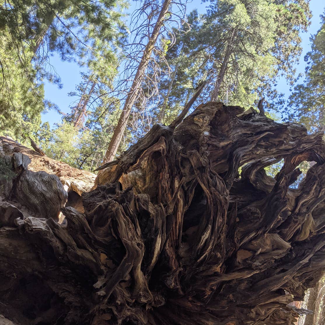 Princess Camping | Hume, California