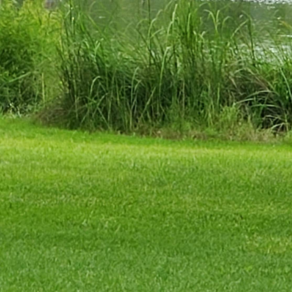 Wichita’s Spring Lake RV Resort | Halstead, Kansas