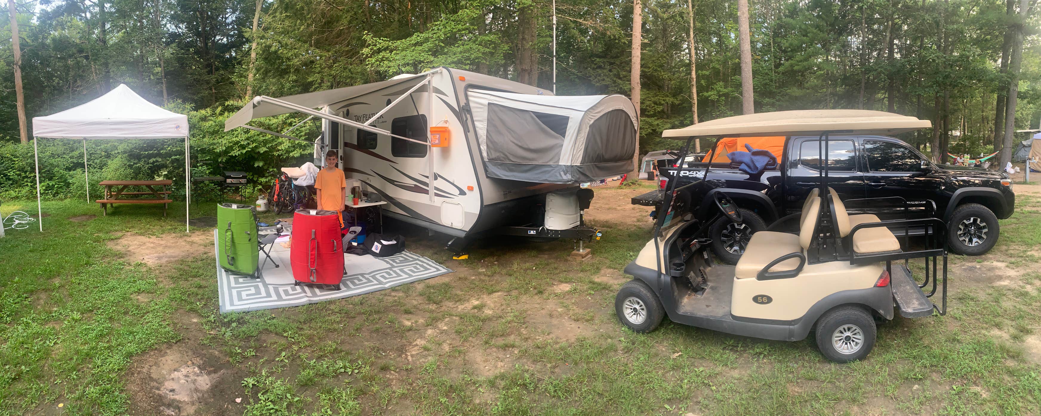 Wild Acres Sun RV Resort Camping | The Dyrt