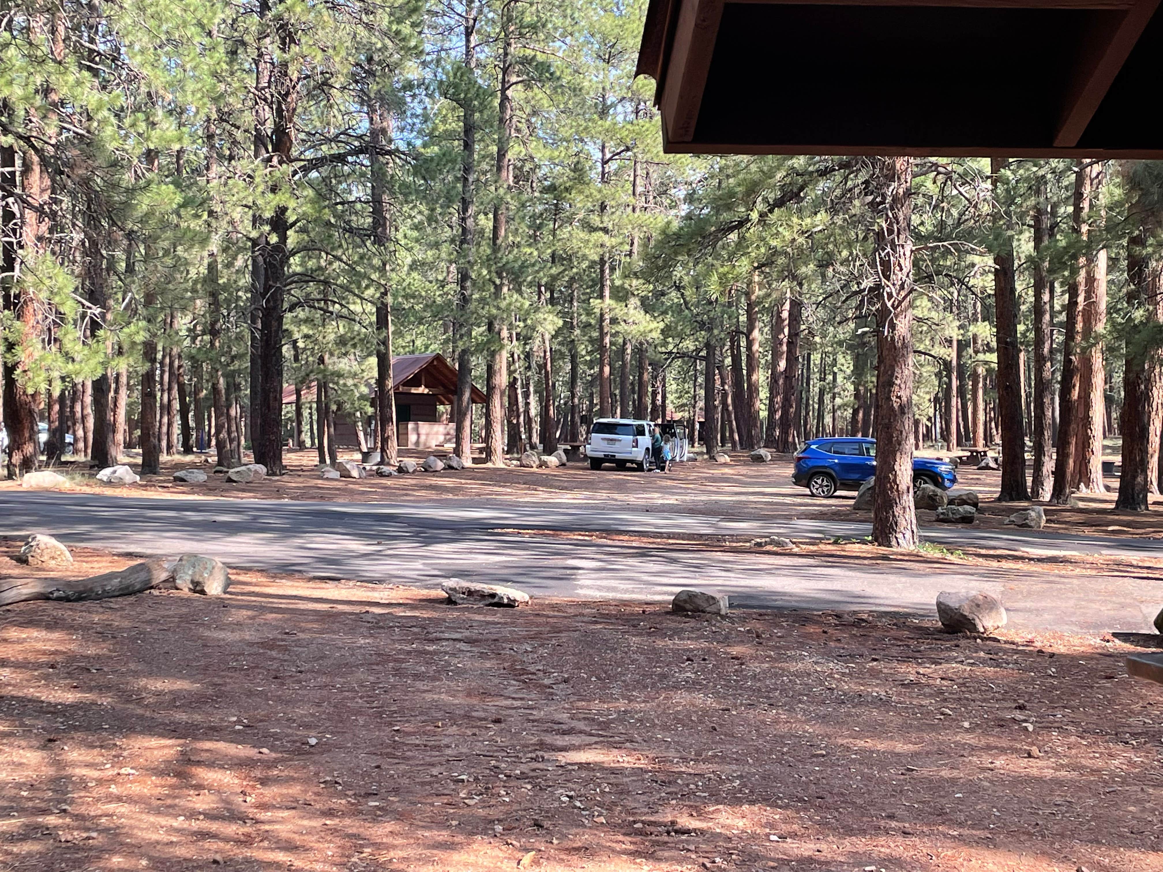 North Rim Campground | The Dyrt