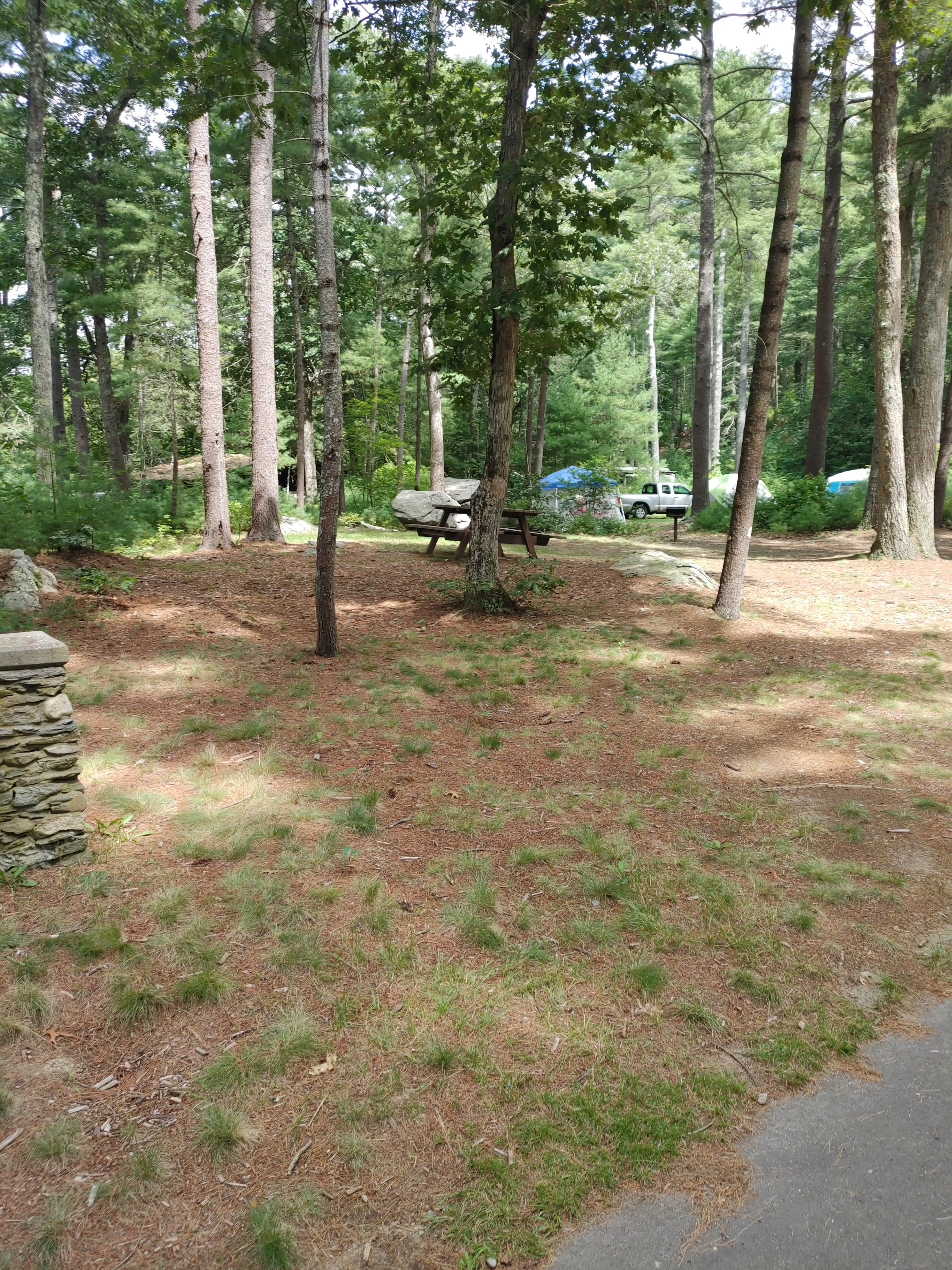 Massasoit State Park Campground | Lakeville, Massachusetts