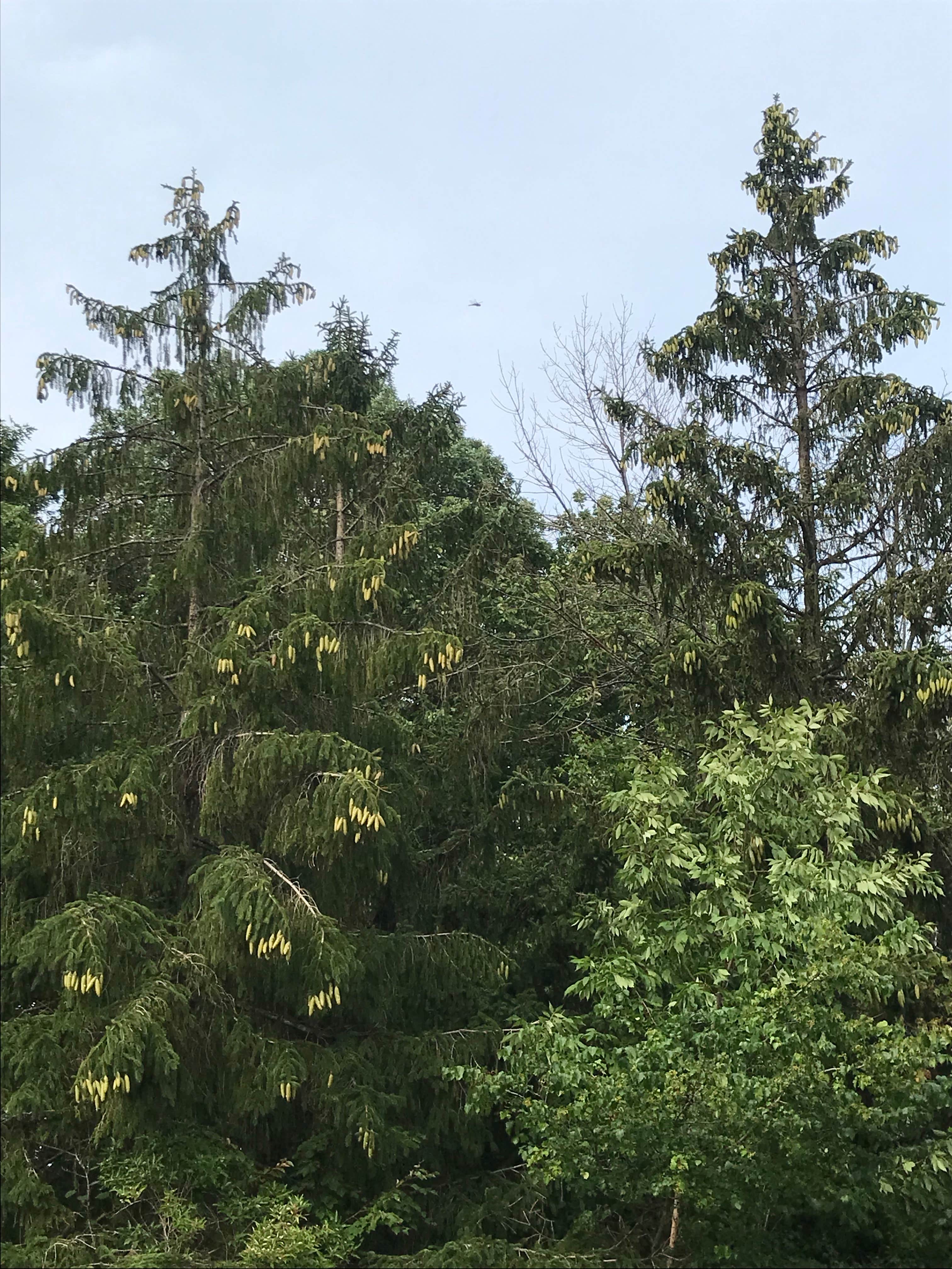 Cliffside Park Campground | Caledonia, WI