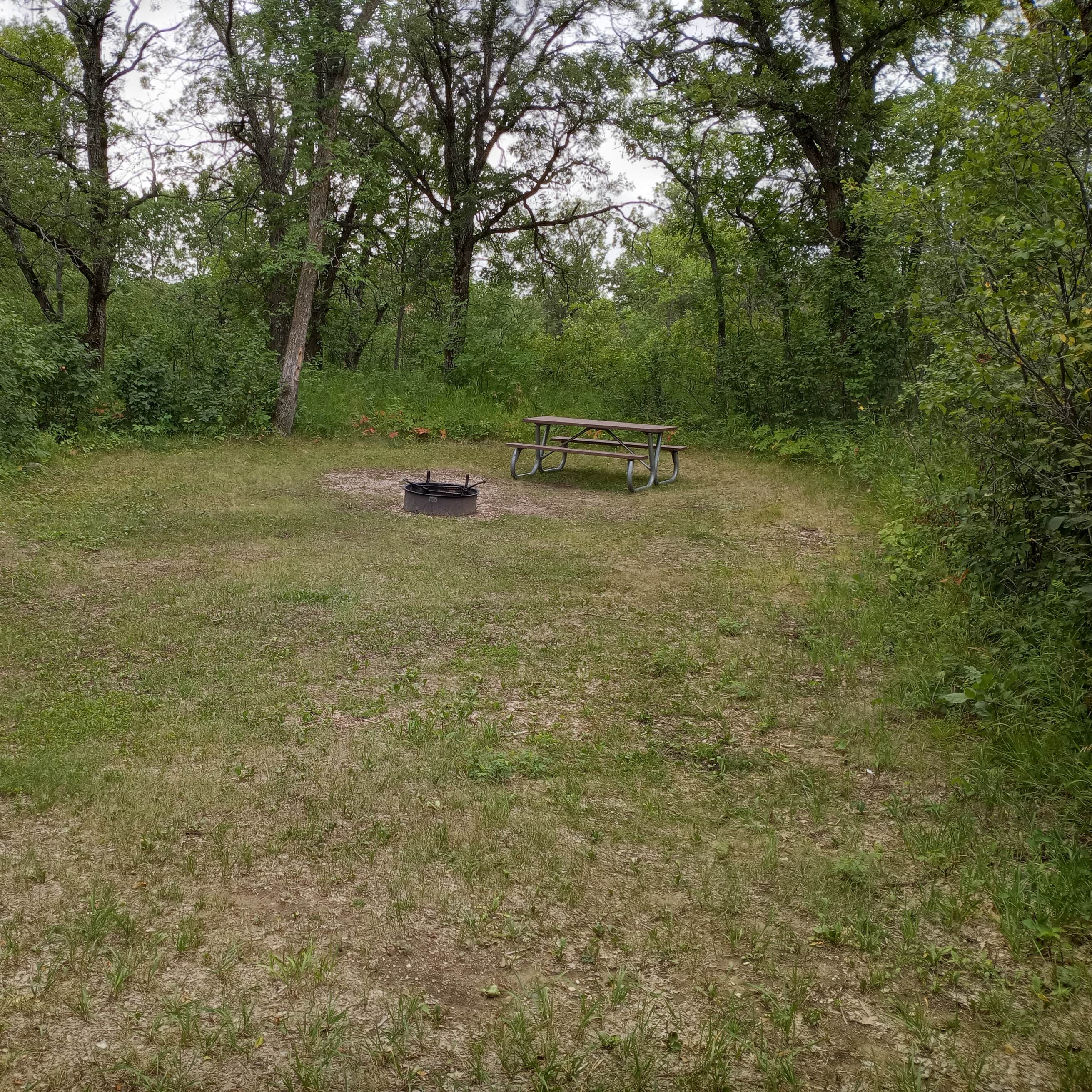 Strawberry Lake Camping | The Dyrt