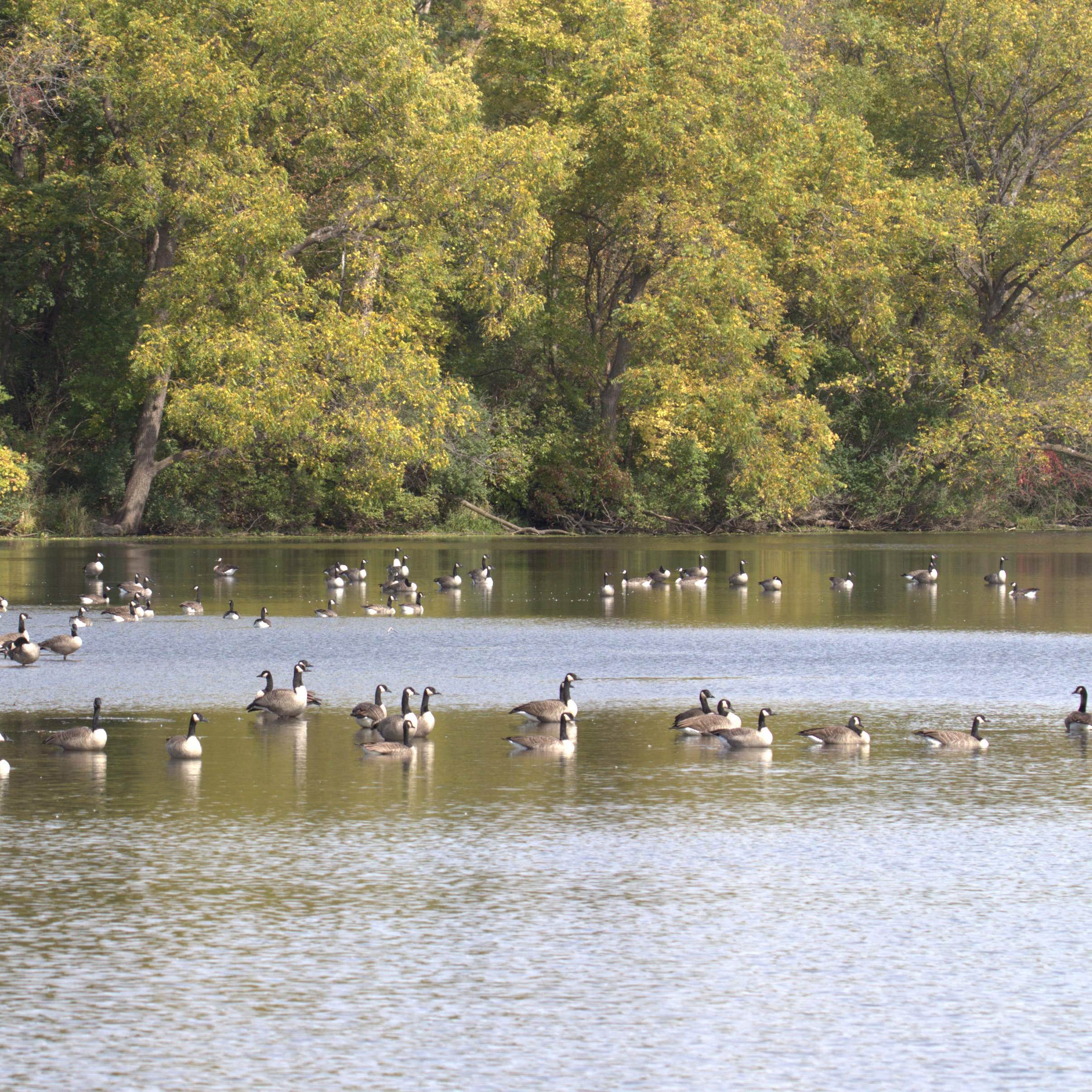 Beed's Lake State Park Campground | Hampton, Iowa