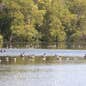 Beed's Lake State Park Campground | Hampton, Iowa
