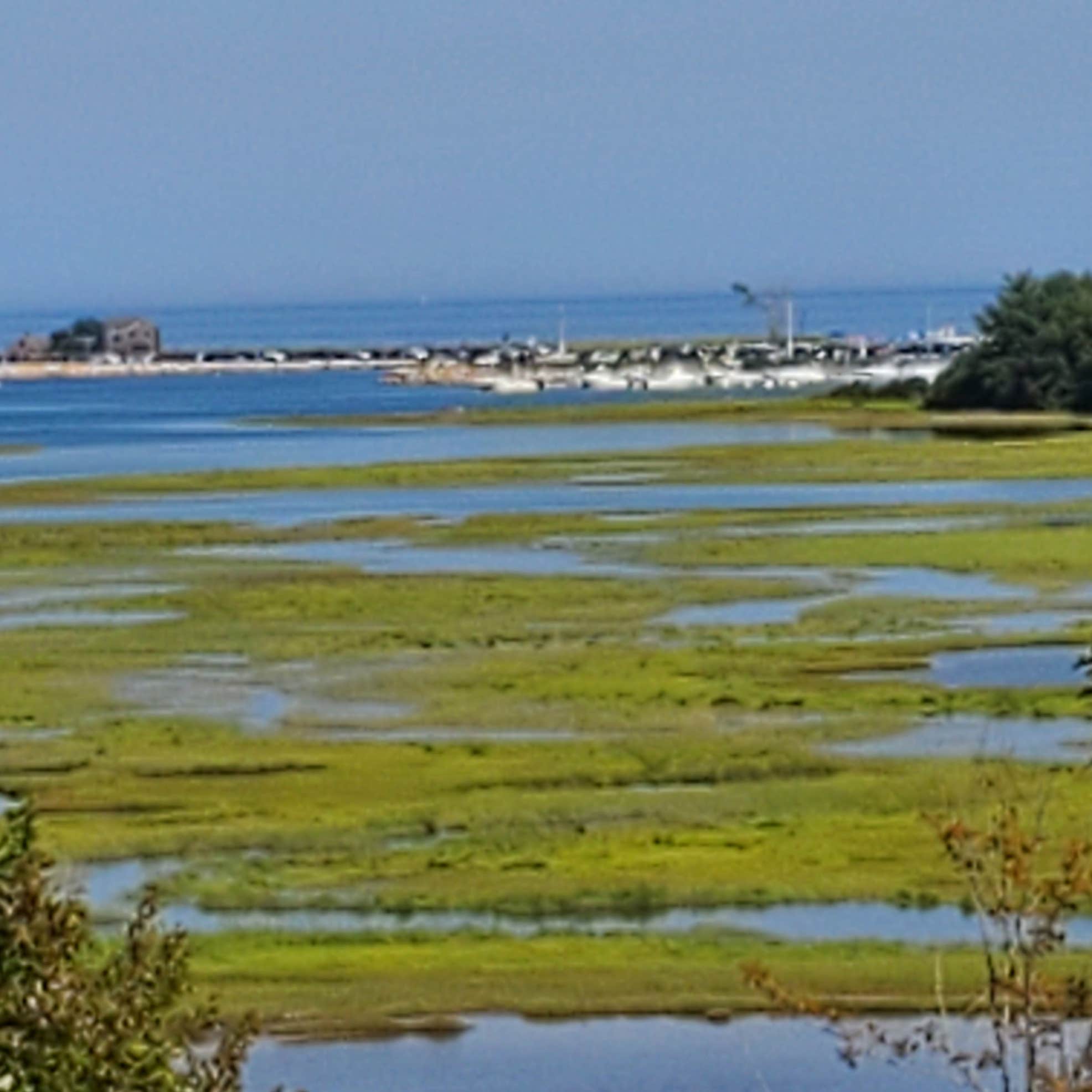 Ocean View Cottage and Campground | Wells, Maine