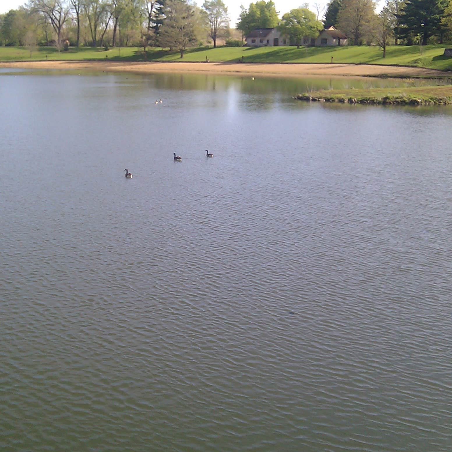 Six Pines Campground — Backbone State Park | Dundee, Iowa