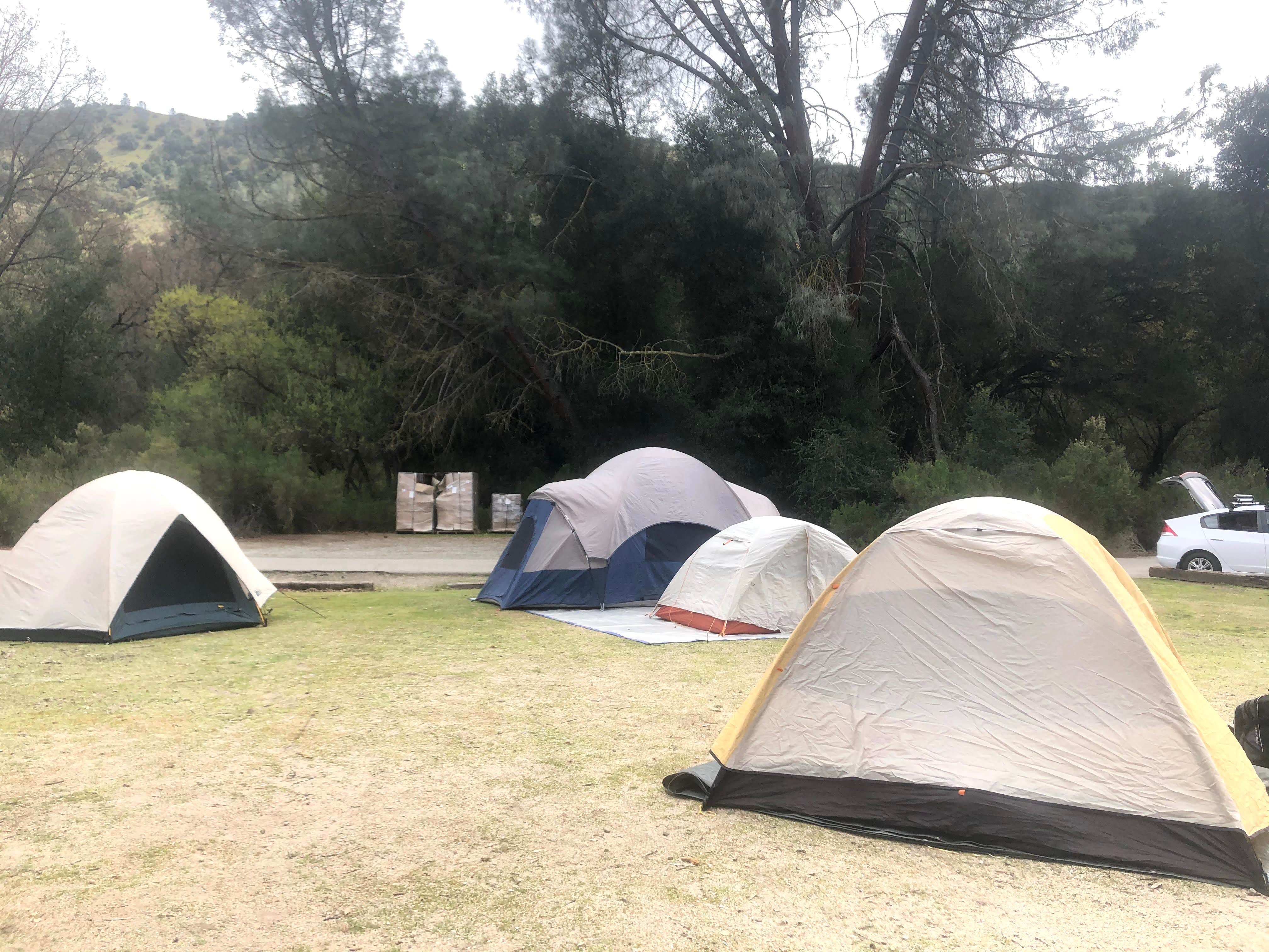 Best rv camping in Pinnacles National Park | The Dyrt