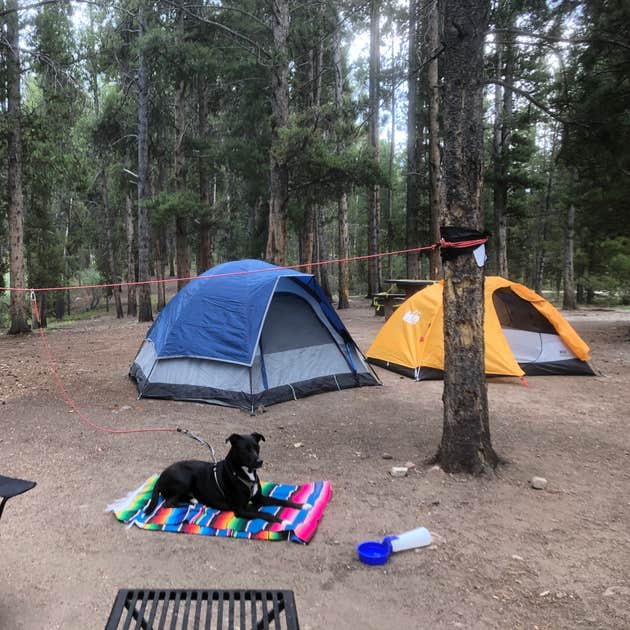 Tabor Campground | Leadville, Colorado