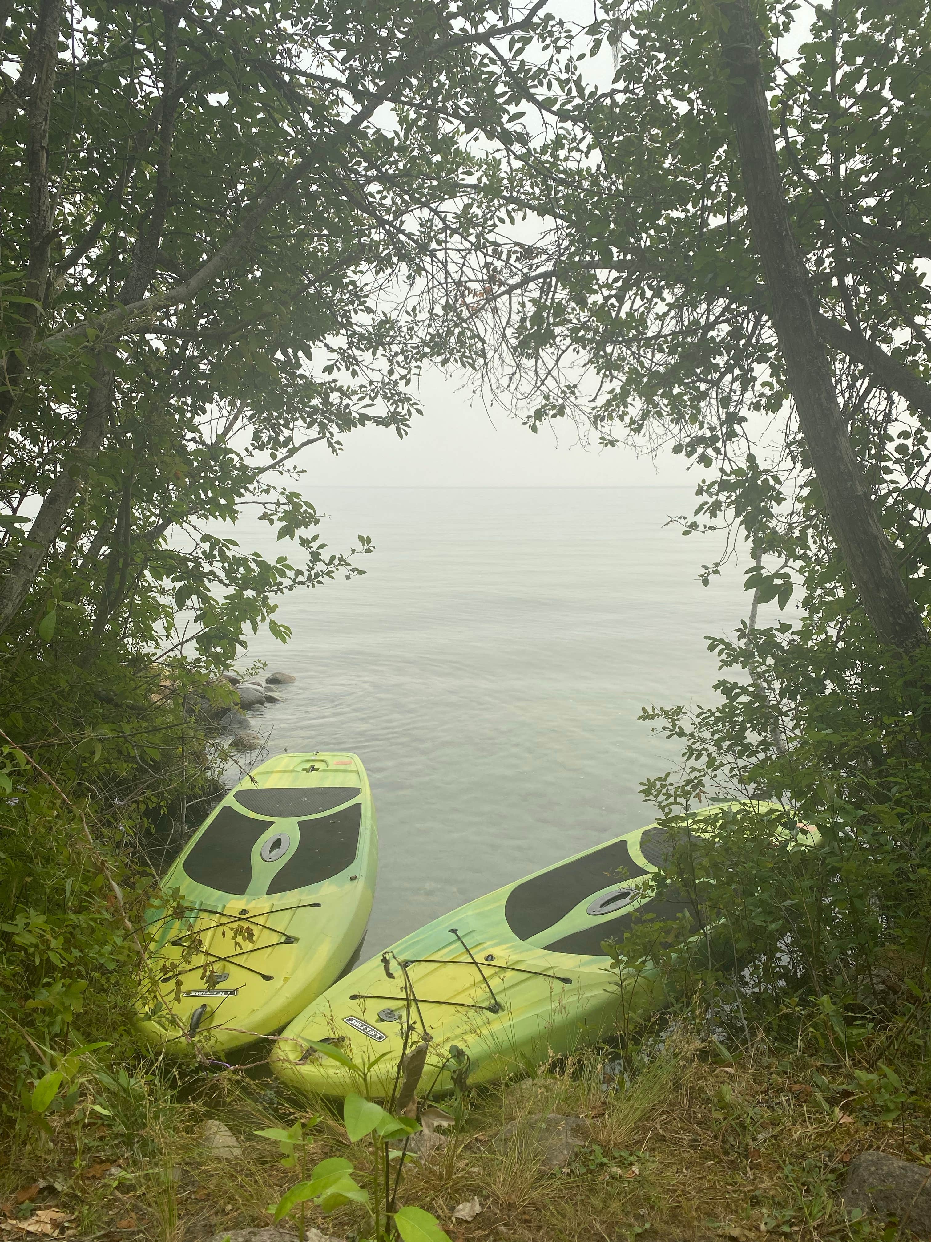 Osprey Camping | Priest river, ID