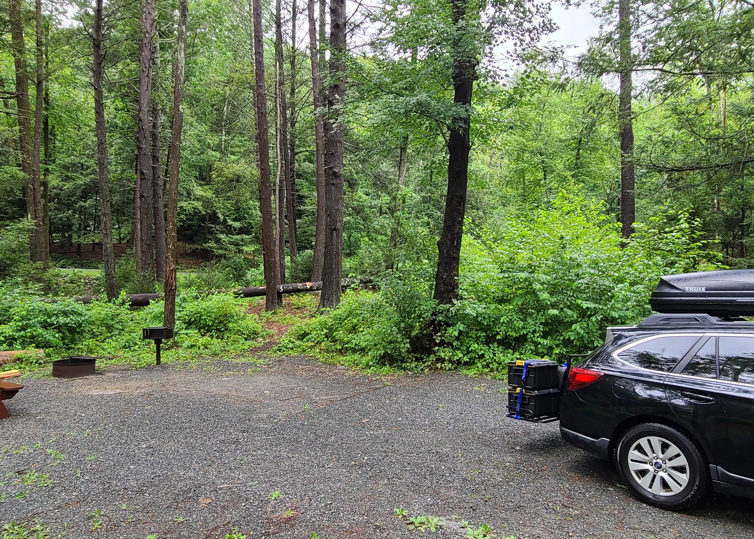 Wells State Park Camping | The Dyrt