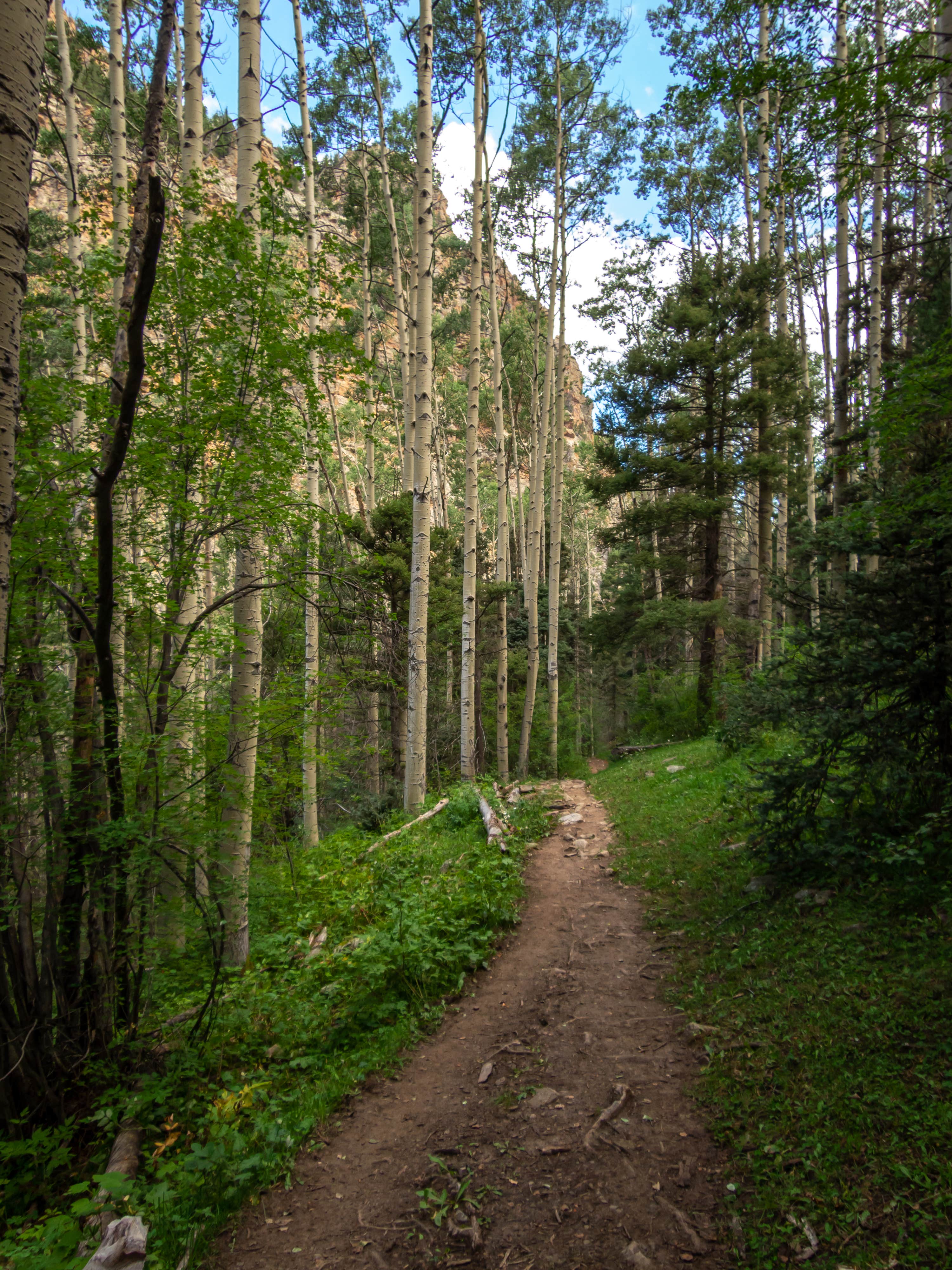 Best camping in Carson National Forest | The Dyrt