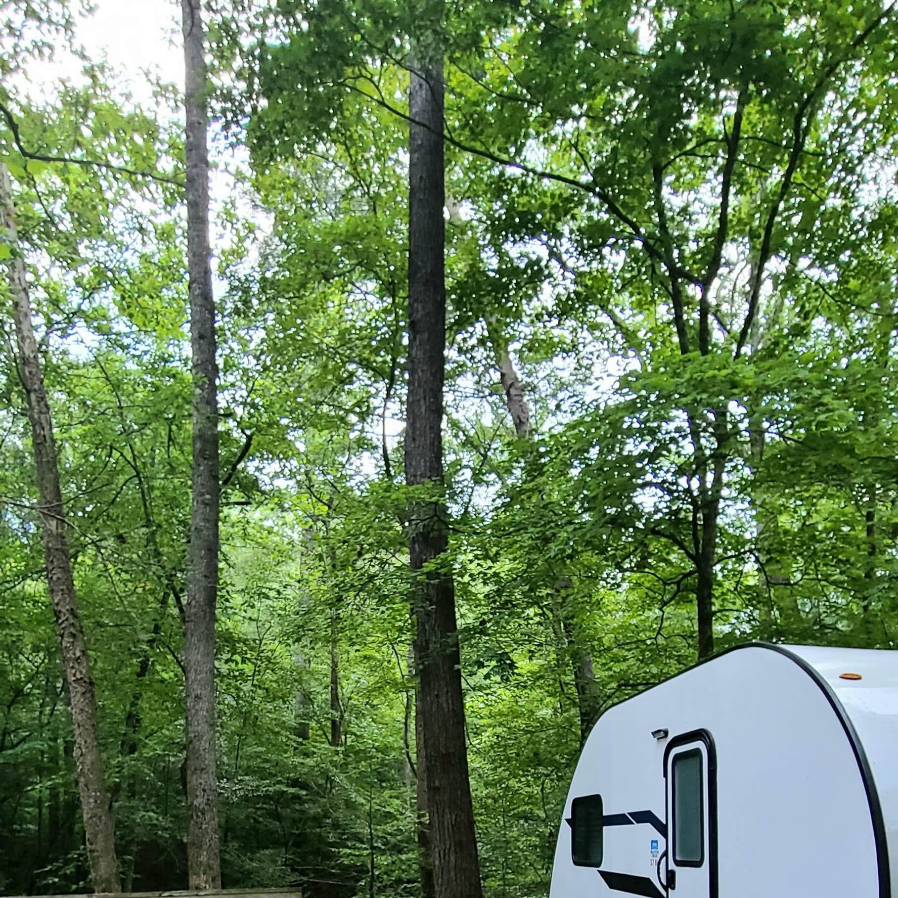 Parksville Lake RV Campground | Benton, Tennessee