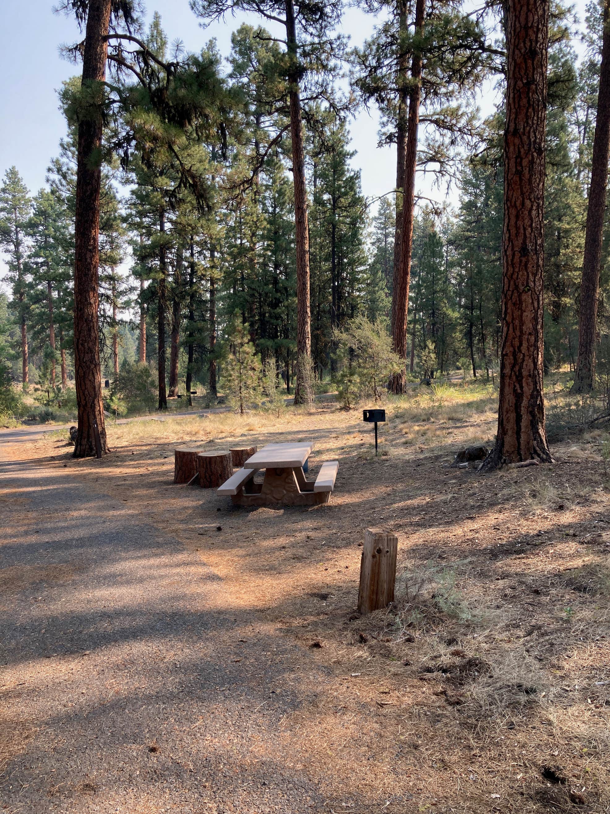 Idlewild Campground - Malheur Camping | The Dyrt