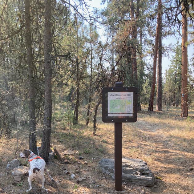 Idlewild Campground - Malheur | Burns, Oregon