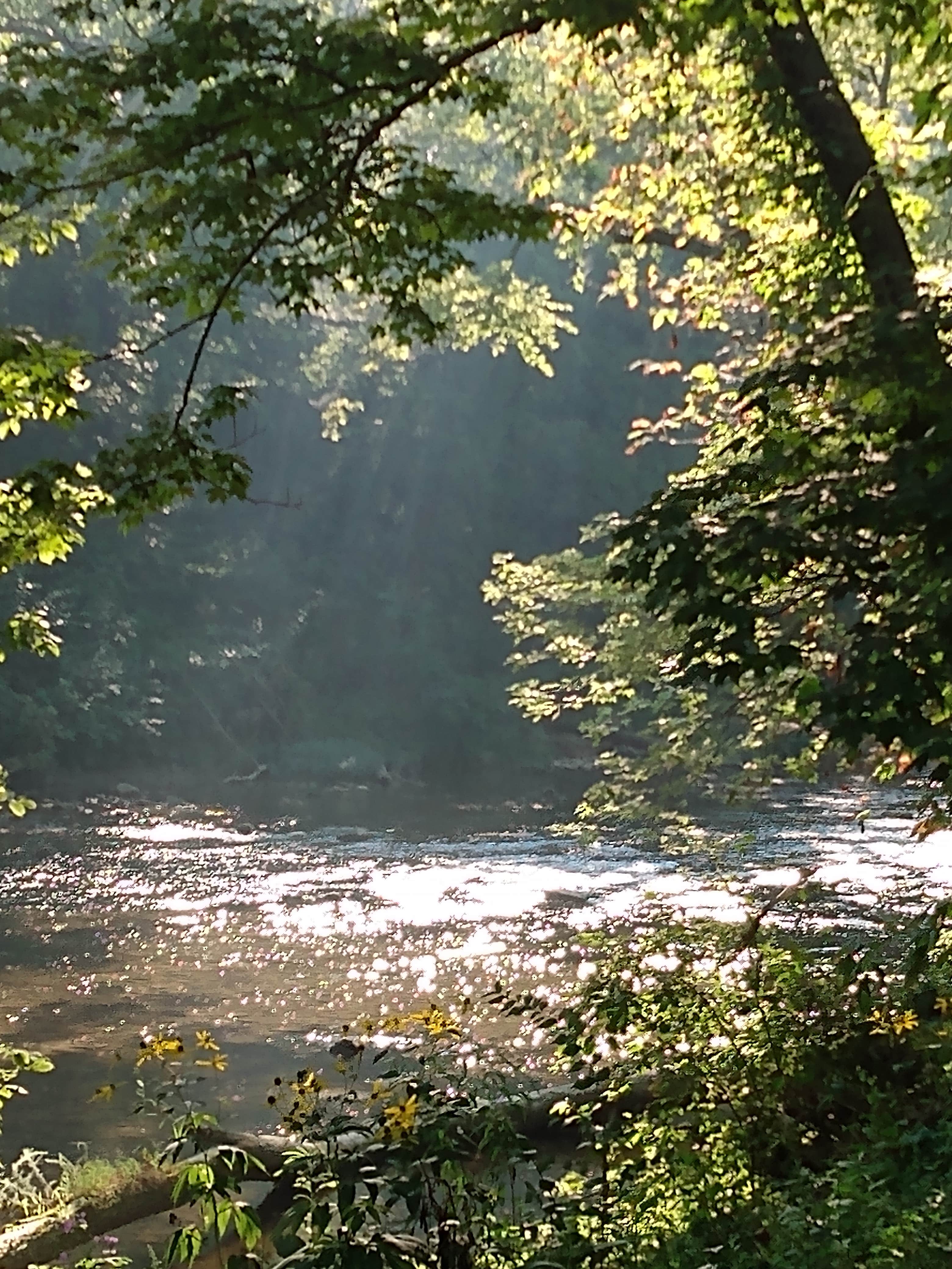Hidden Paradise Campground | Waldron, Indiana