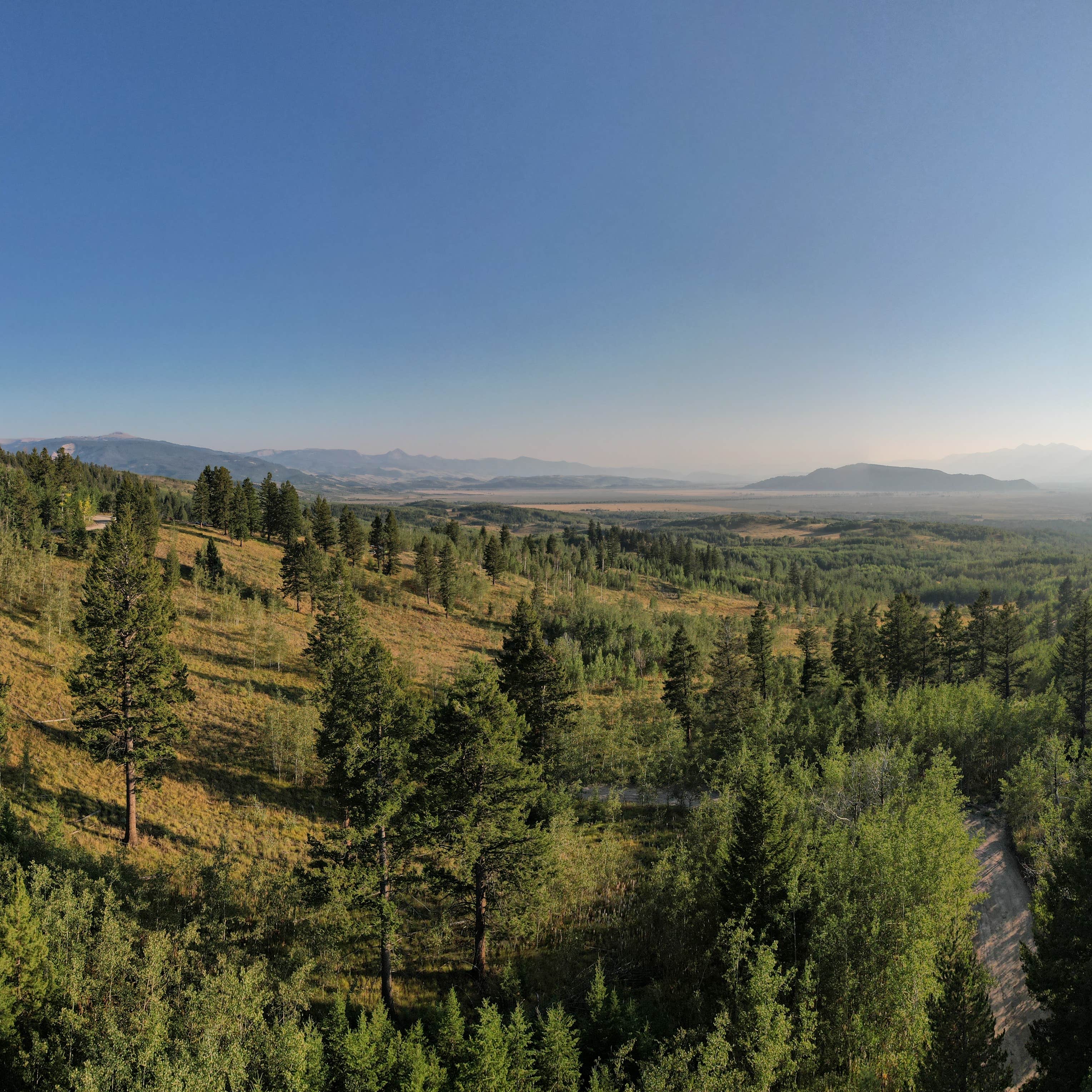 Taylor Ranch Road Dispersed Camping Camping | The Dyrt