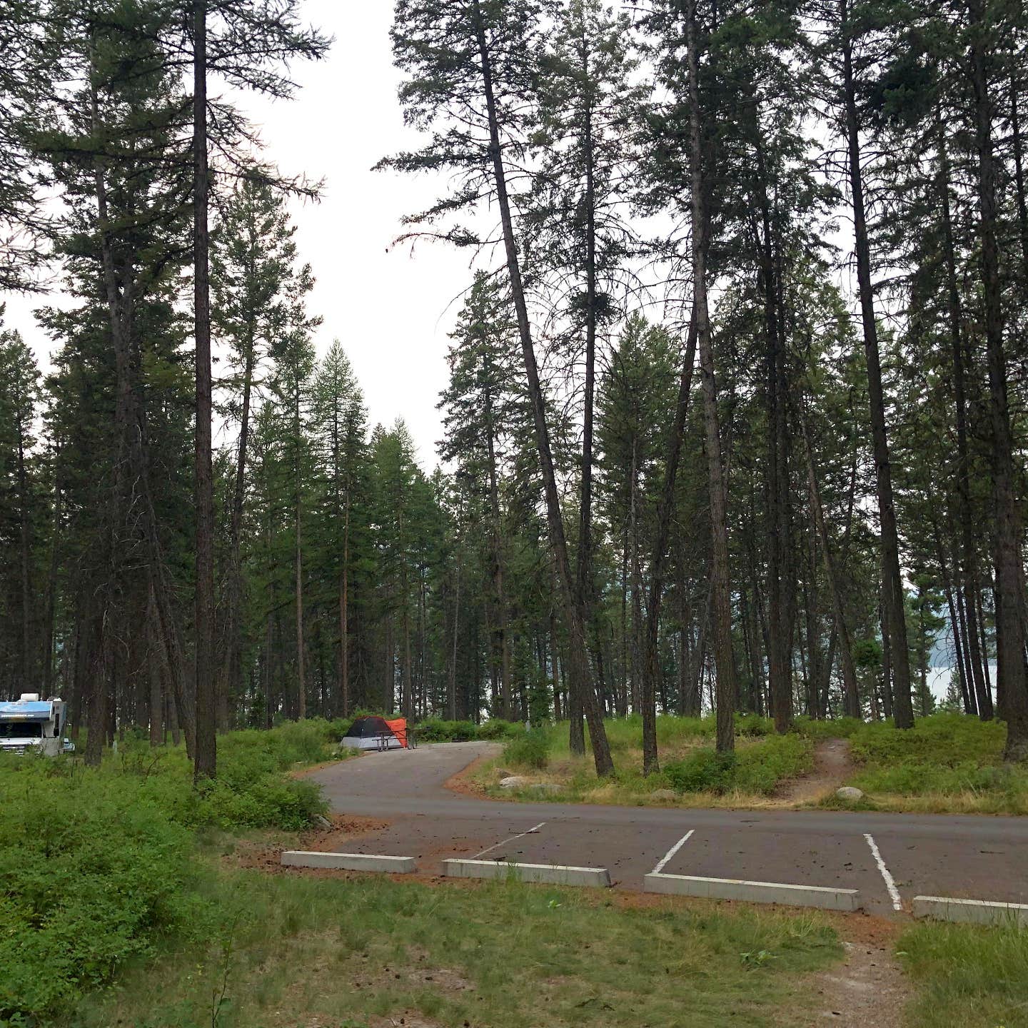 Lake Mary Ronan State Park Camping | The Dyrt
