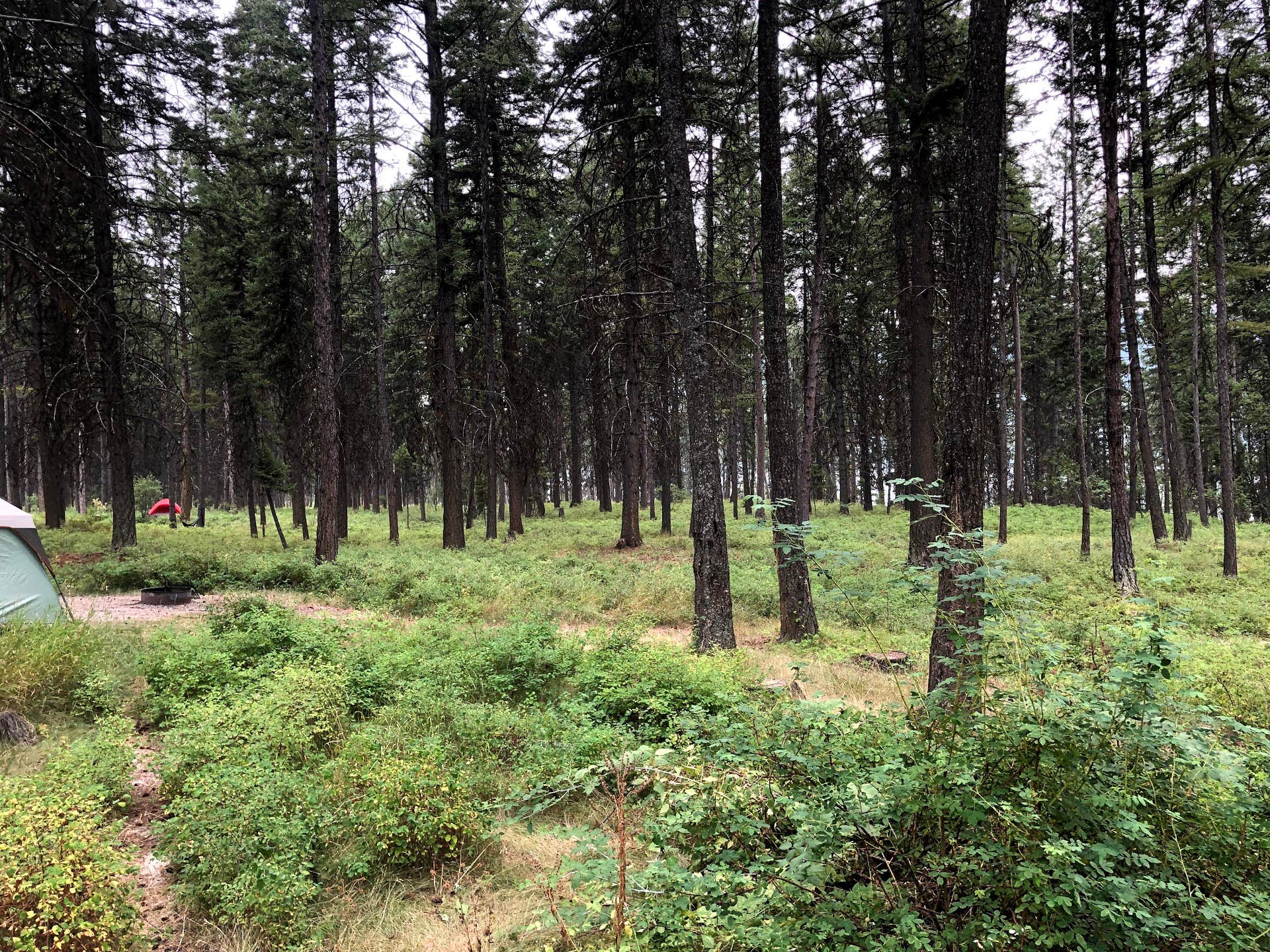 Lake Mary Ronan State Park Campground | Proctor, MT