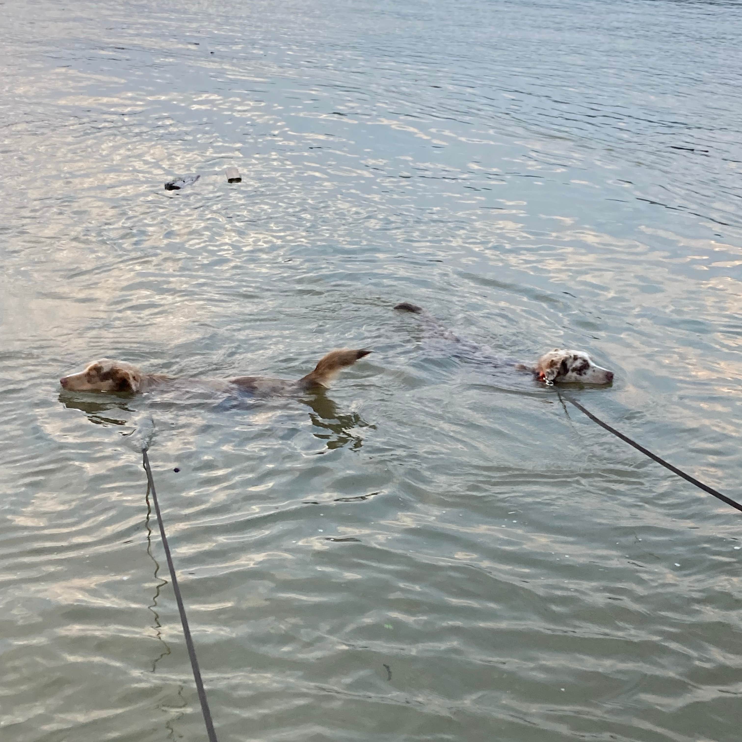 Two Rivers Campground Camping | The Dyrt