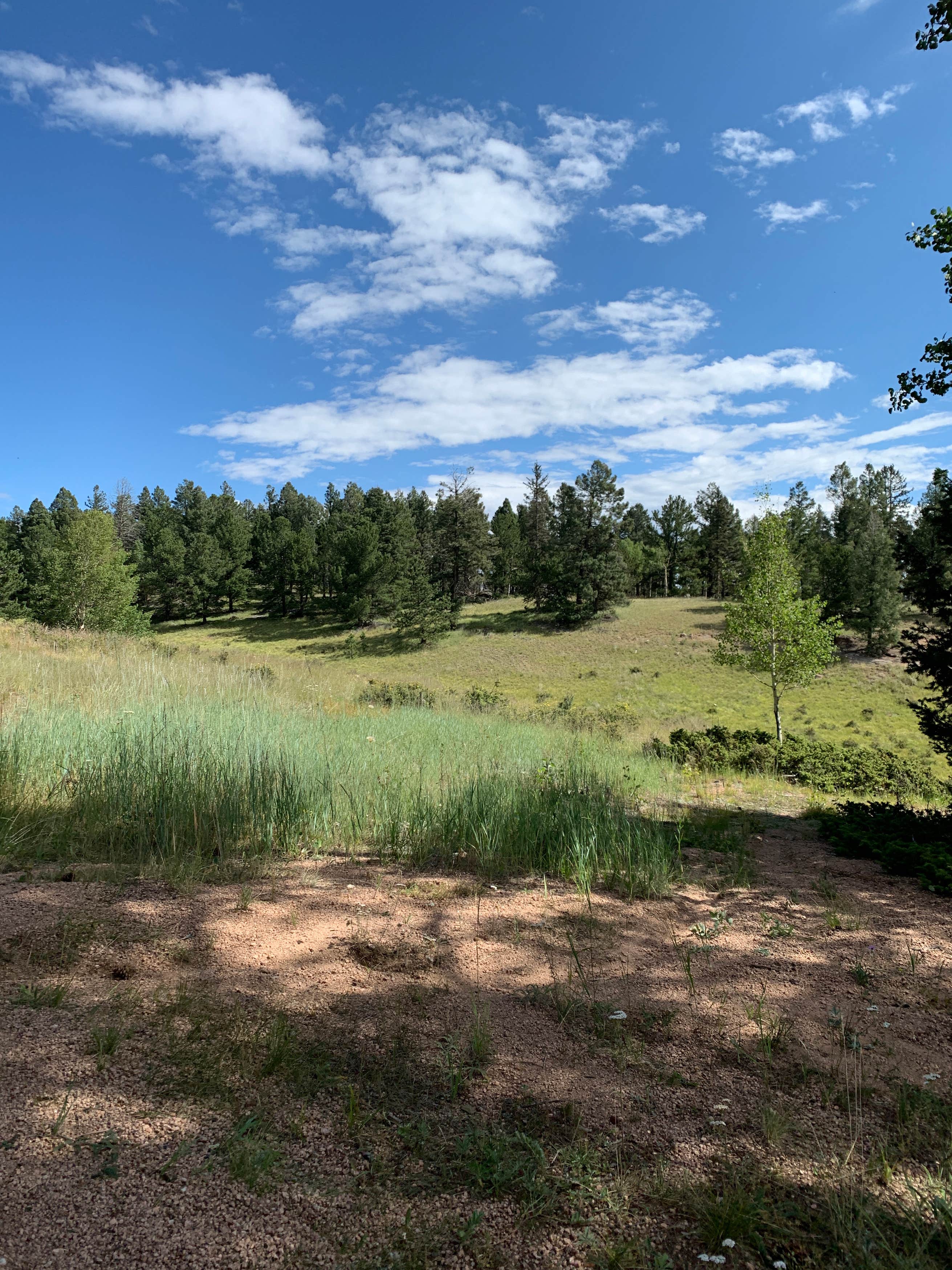 Mueller State Park | The Dyrt