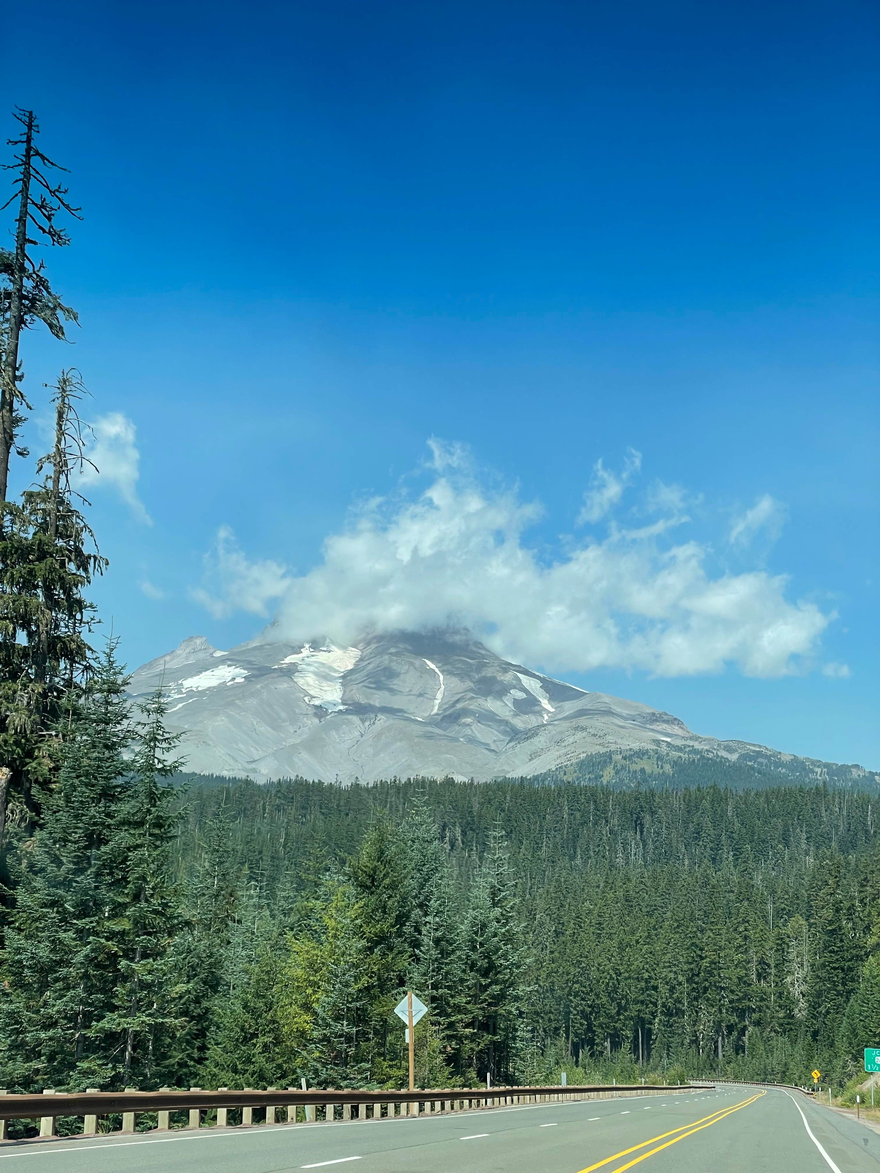 The Cove (Timothy Lake) Day-Use Camping | Mt. Hood National Forest, OR