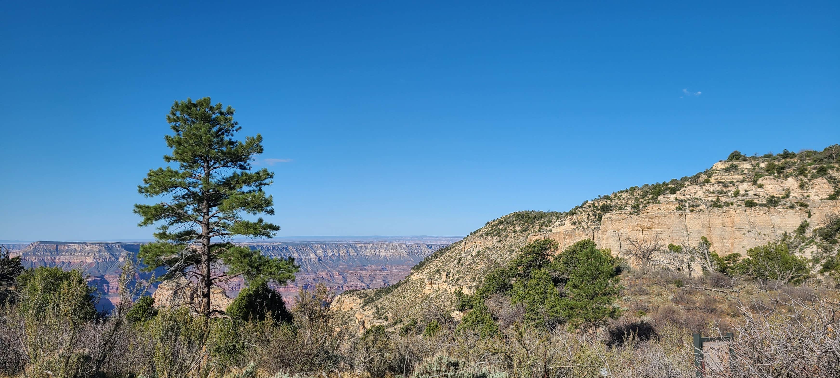 Crazy Jug Camping | The Dyrt