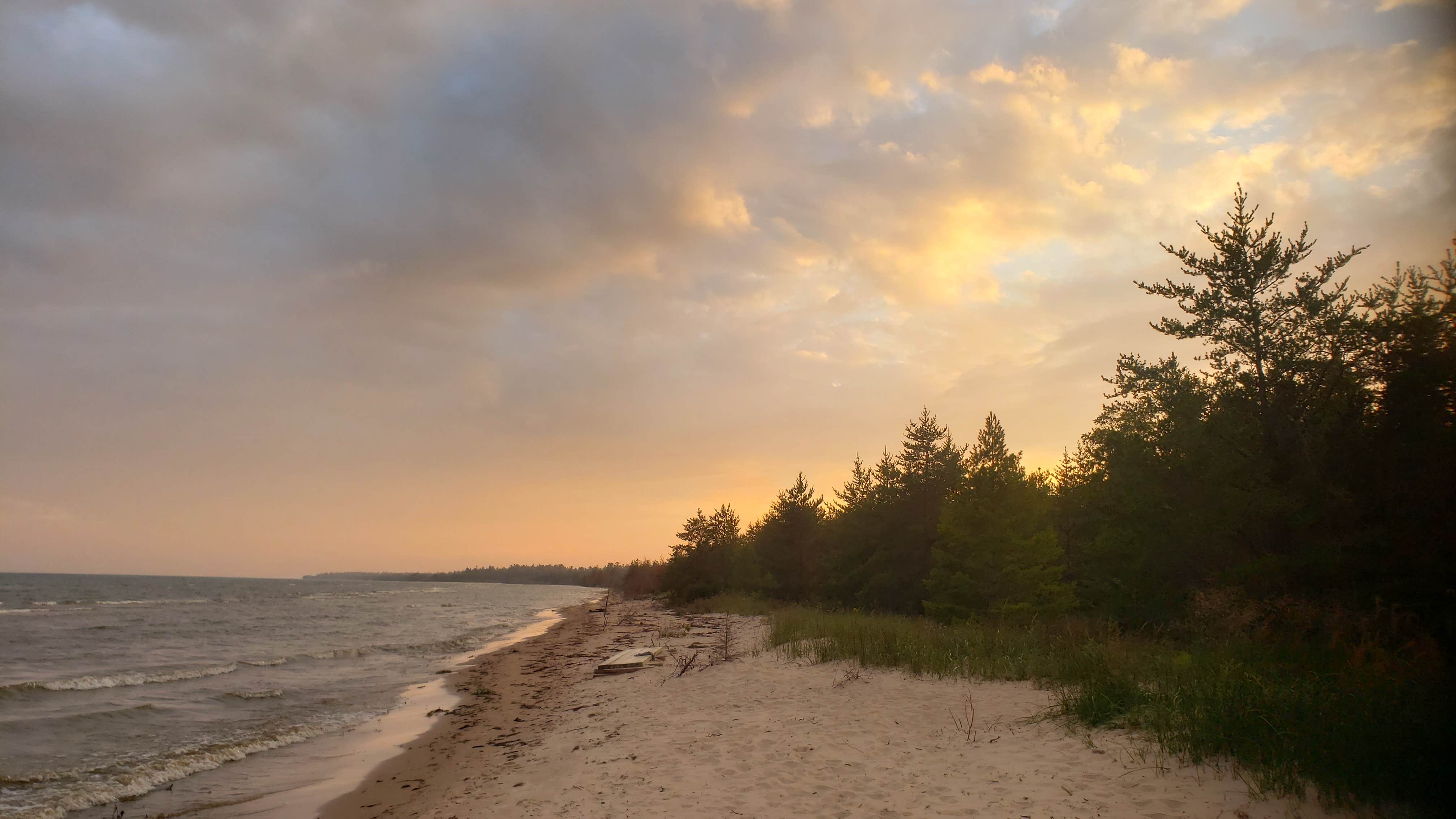 Big Knob State Forest Campground | Gould City, MI