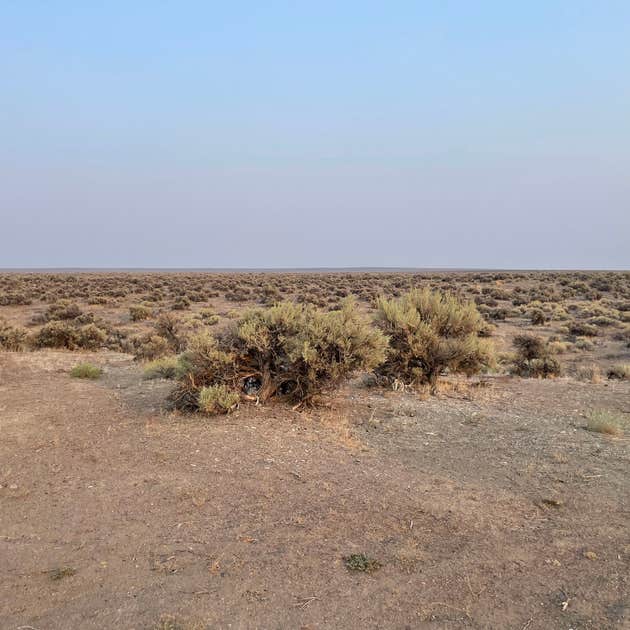 Oregon Sunstone Public Collection Area Camping | Plush, Oregon