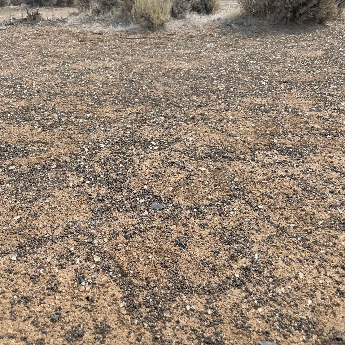 Oregon Sunstone Public Collection Area Camping | Plush, Oregon