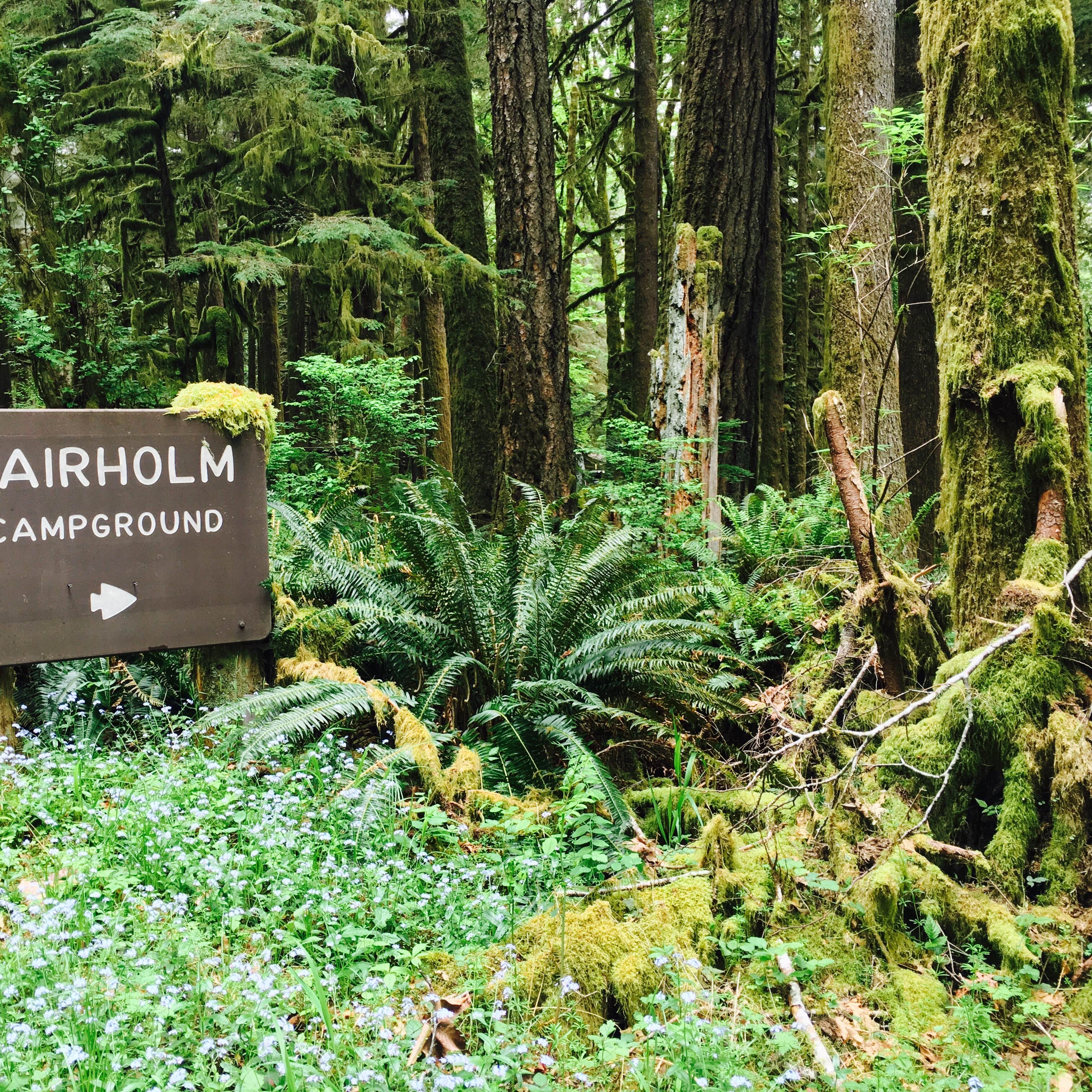 Fairholme Campground — Olympic National Park | Sol Duc Hot Springs ...