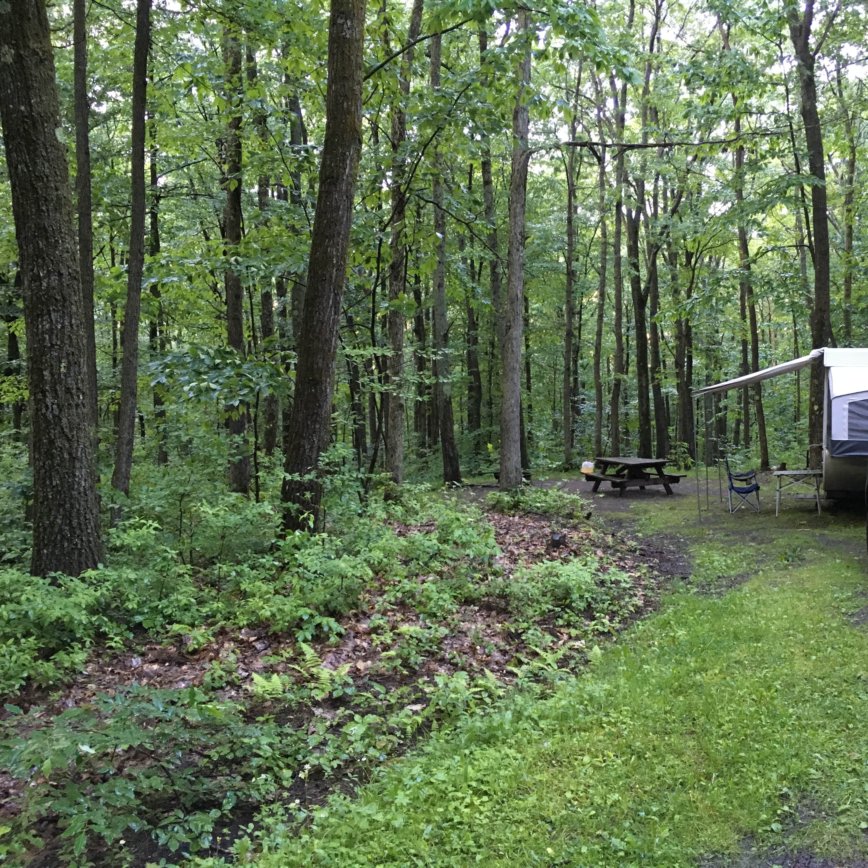 Tracy Ridge Camping | The Dyrt