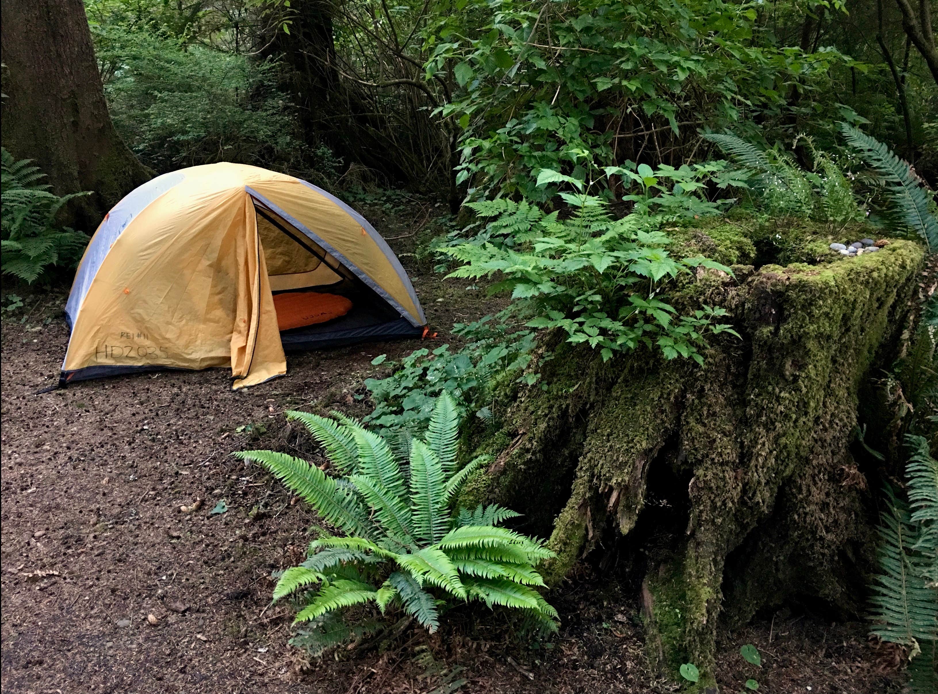 Mora Campground — Olympic National Park | Forks, WA